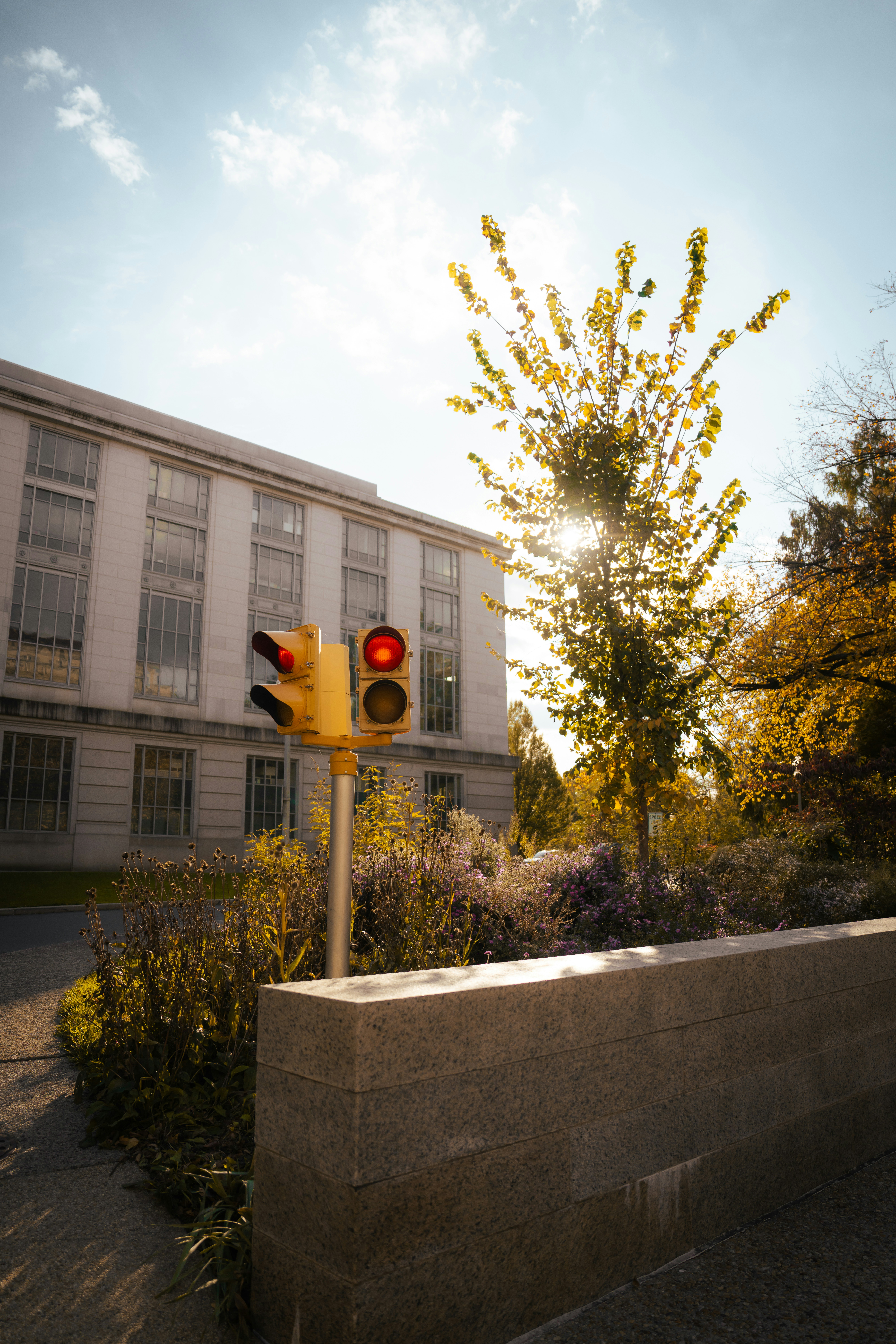 Yellow Traffic Signal Standing Guard by a Sunlit Campus Building