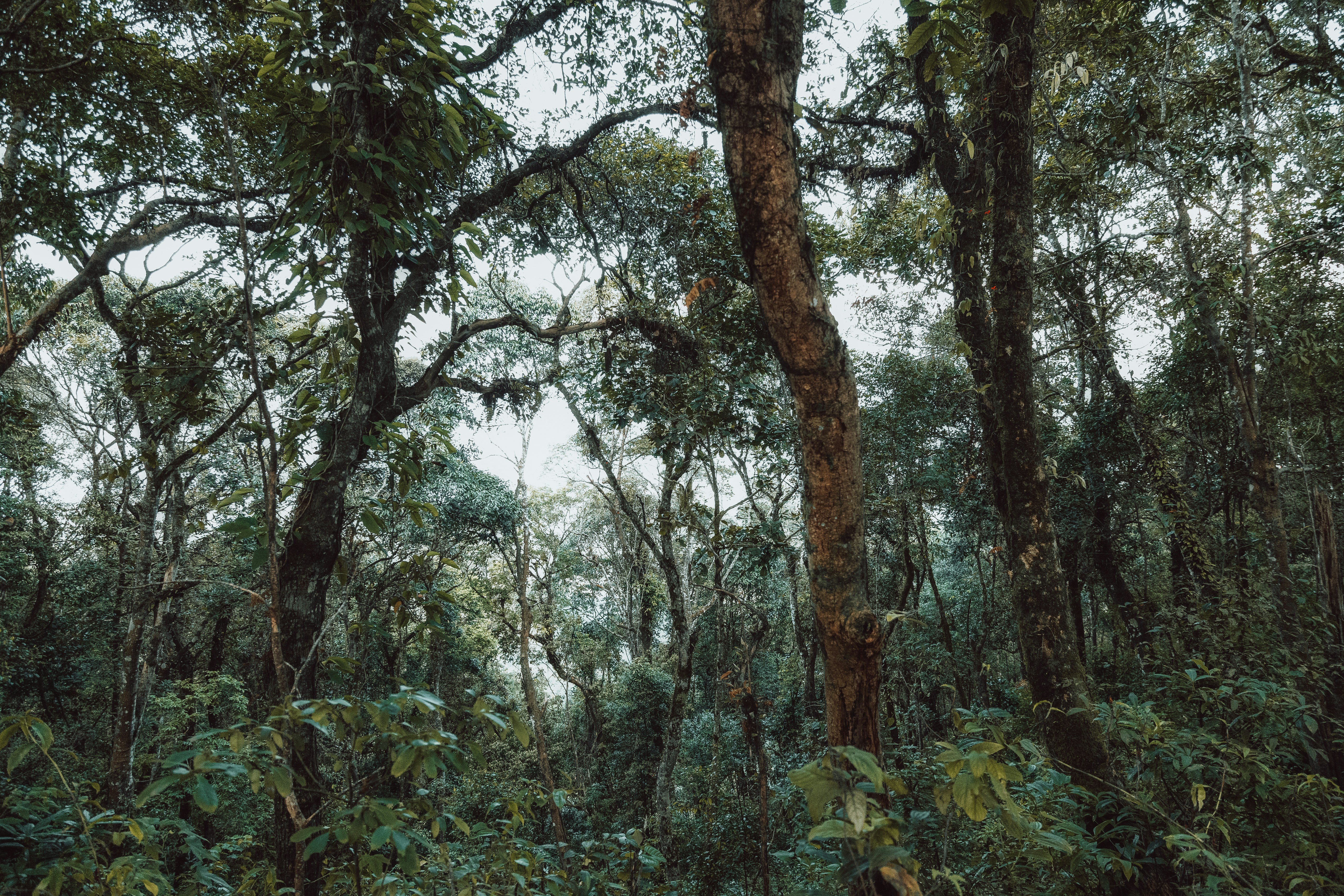 Photo by Rowan Heuvel with Canon EOS 5D Mark II