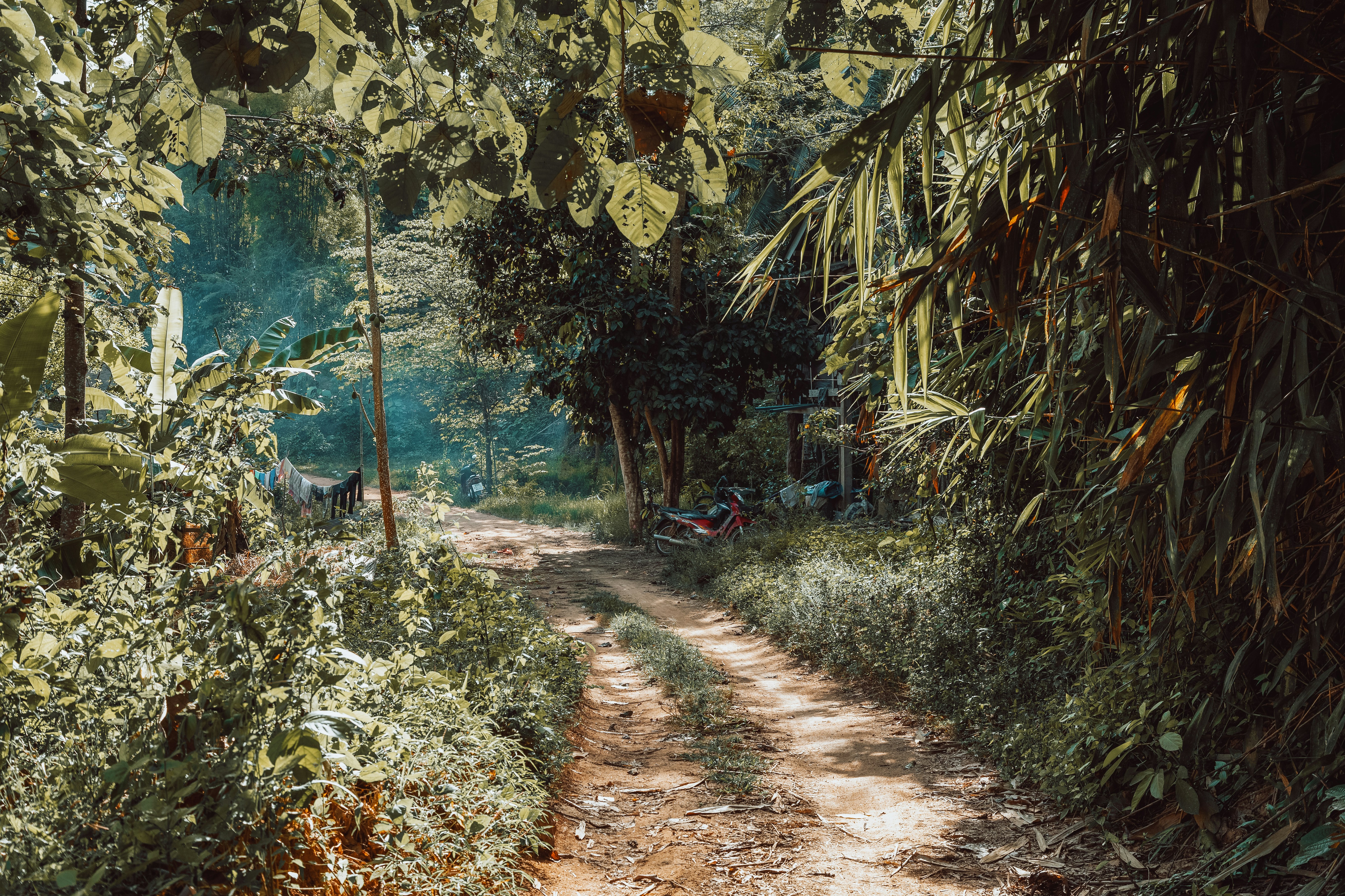 Photo by Rowan Heuvel with Canon EOS 5D Mark II