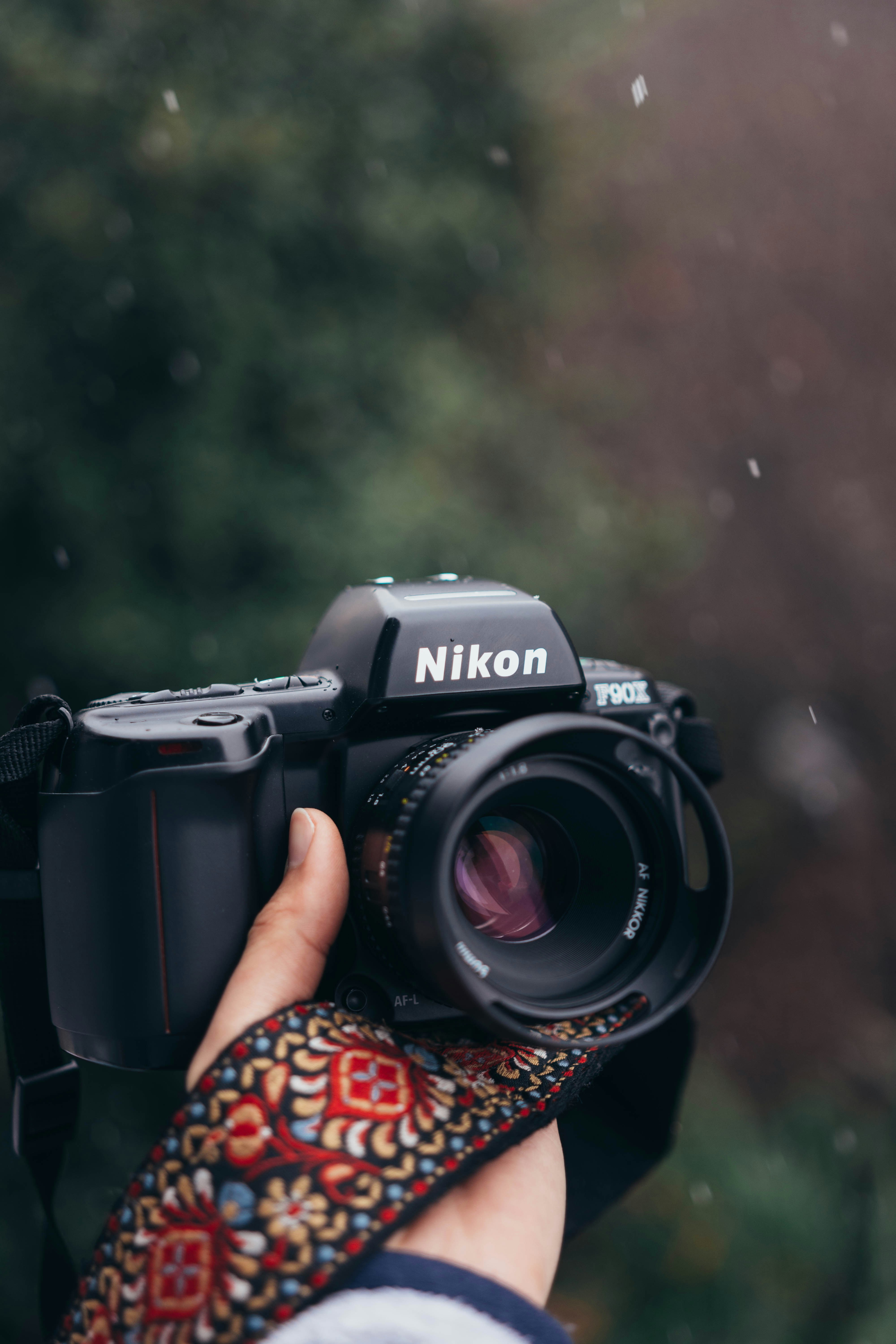 Photo by Spencer Gu with Nikon D7200