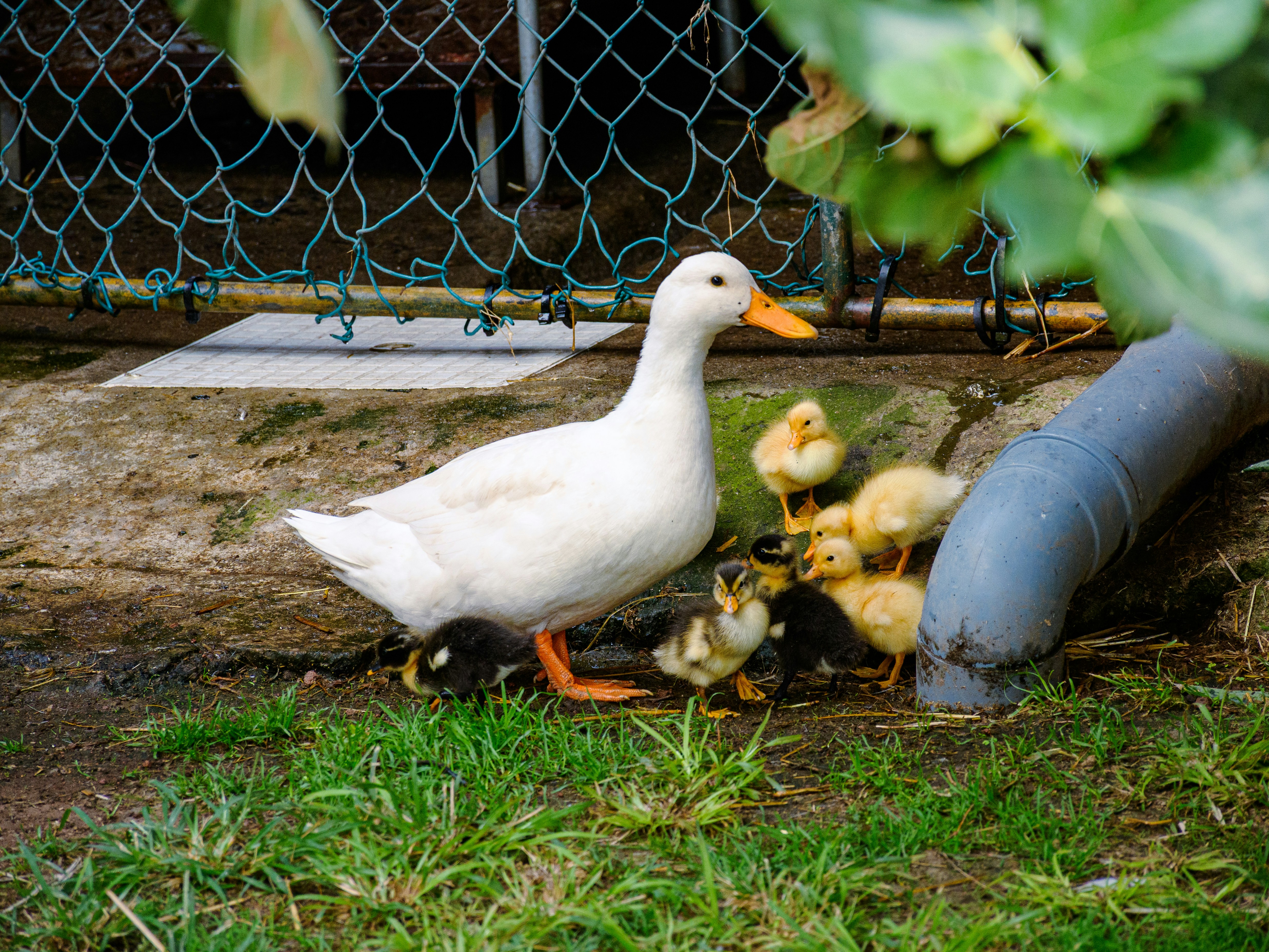 Photo by Casey Lovegrove with Nikon D7500