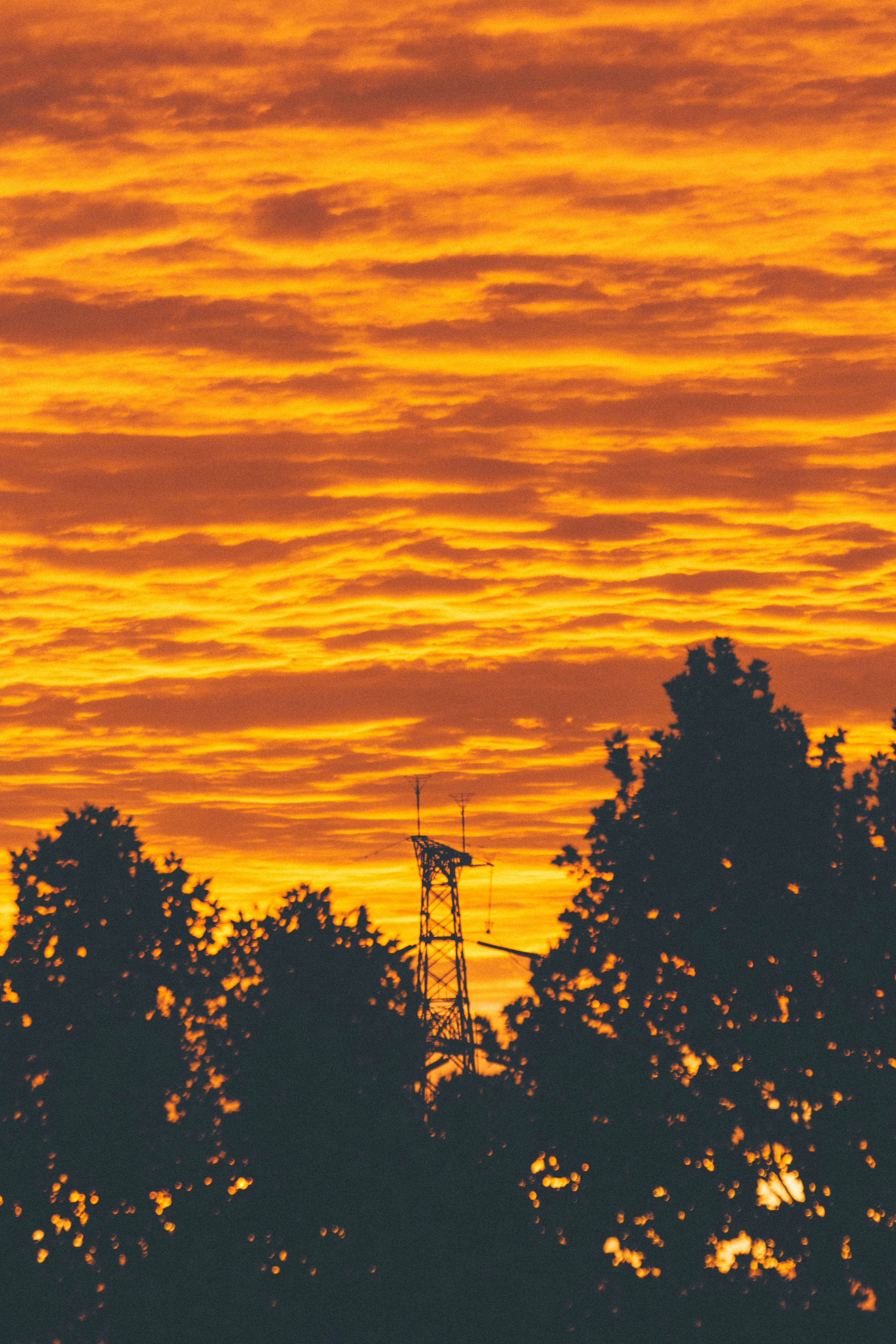 Silhouette of Trees and Transmission Tower Against Fiery Sunset