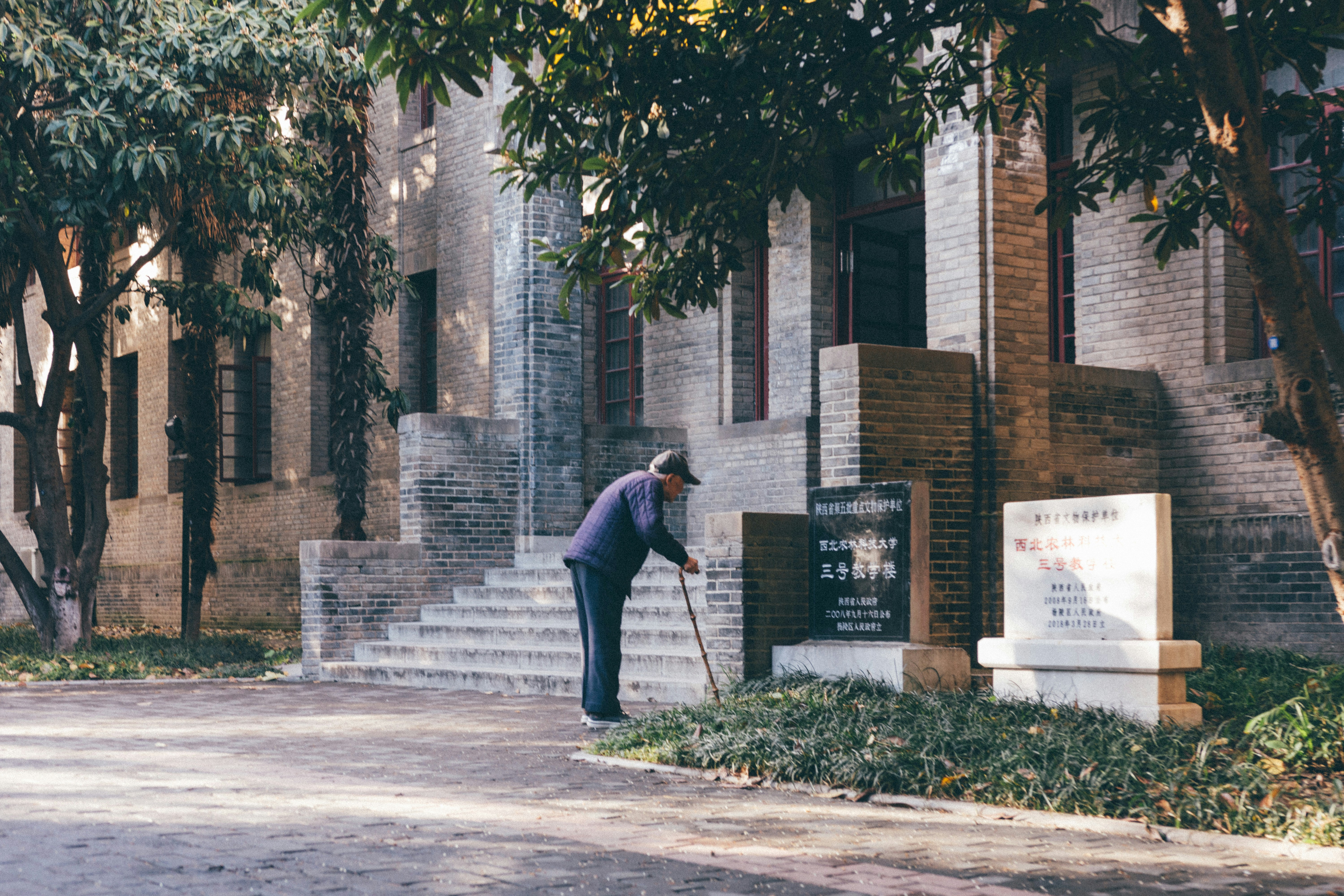 Photo by Spencer Gu with Nikon D7200