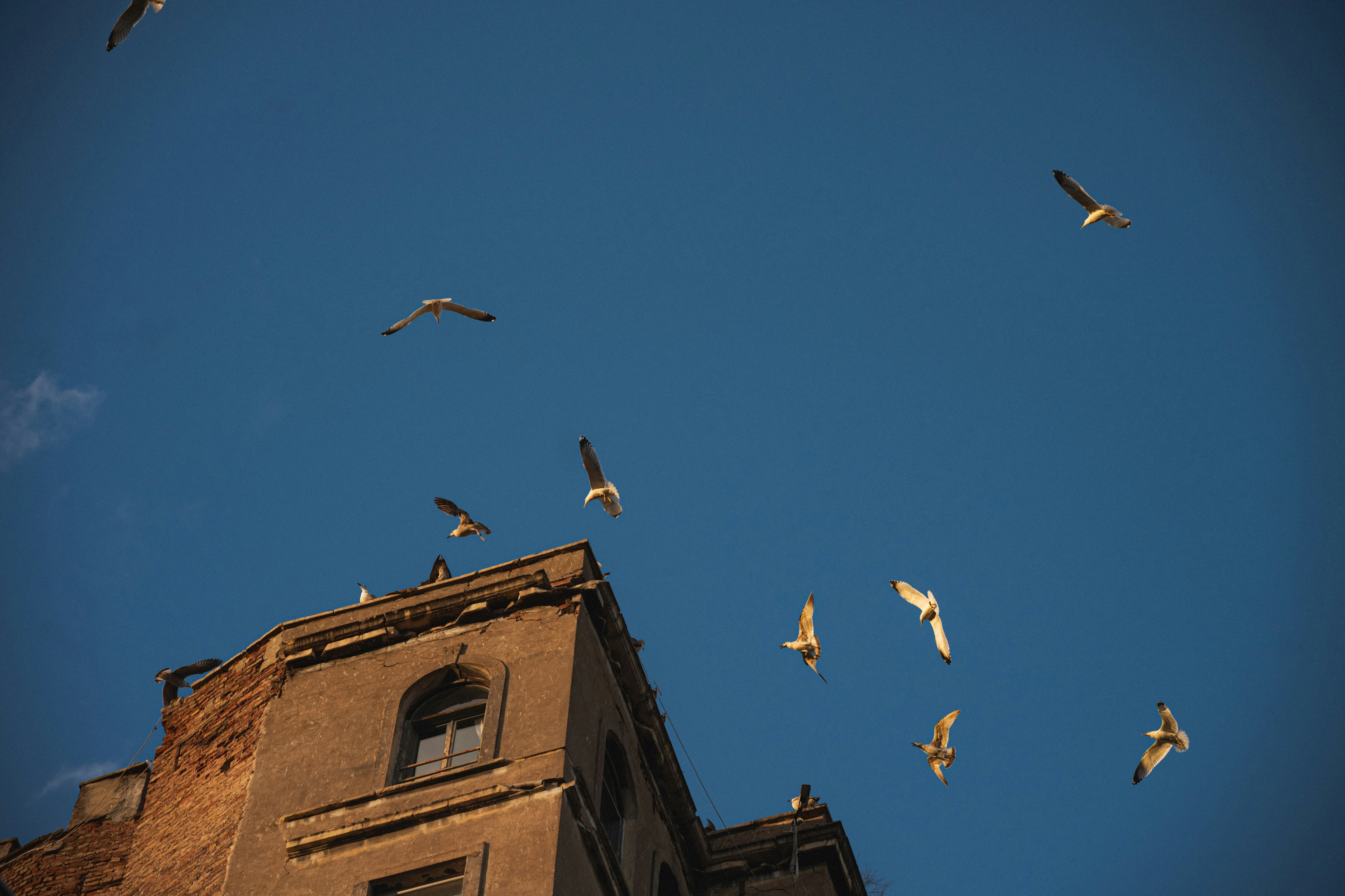 Photo by Alinson torres with Nikon Z6 III