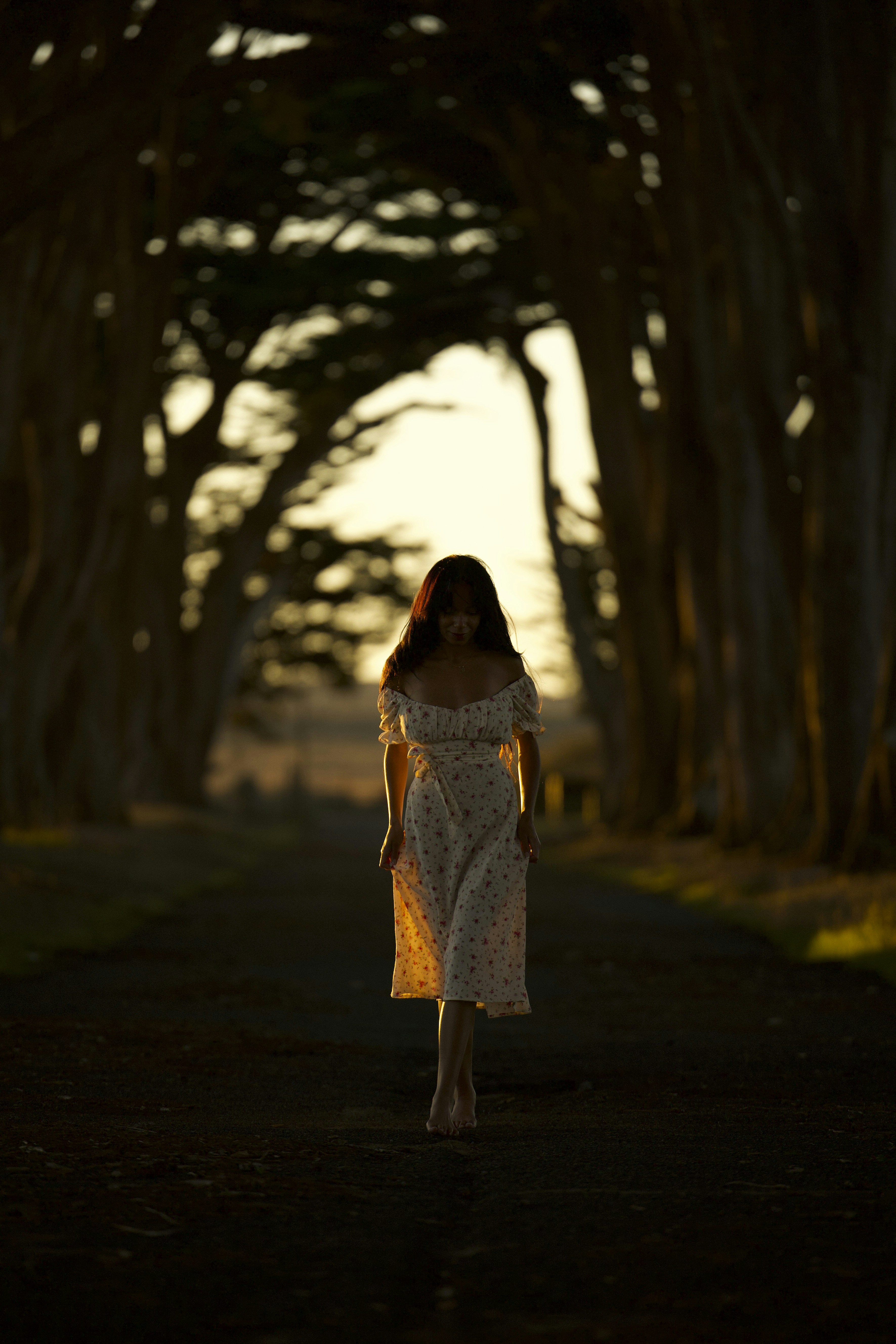 Footsteps Through the Golden Tree Corridor