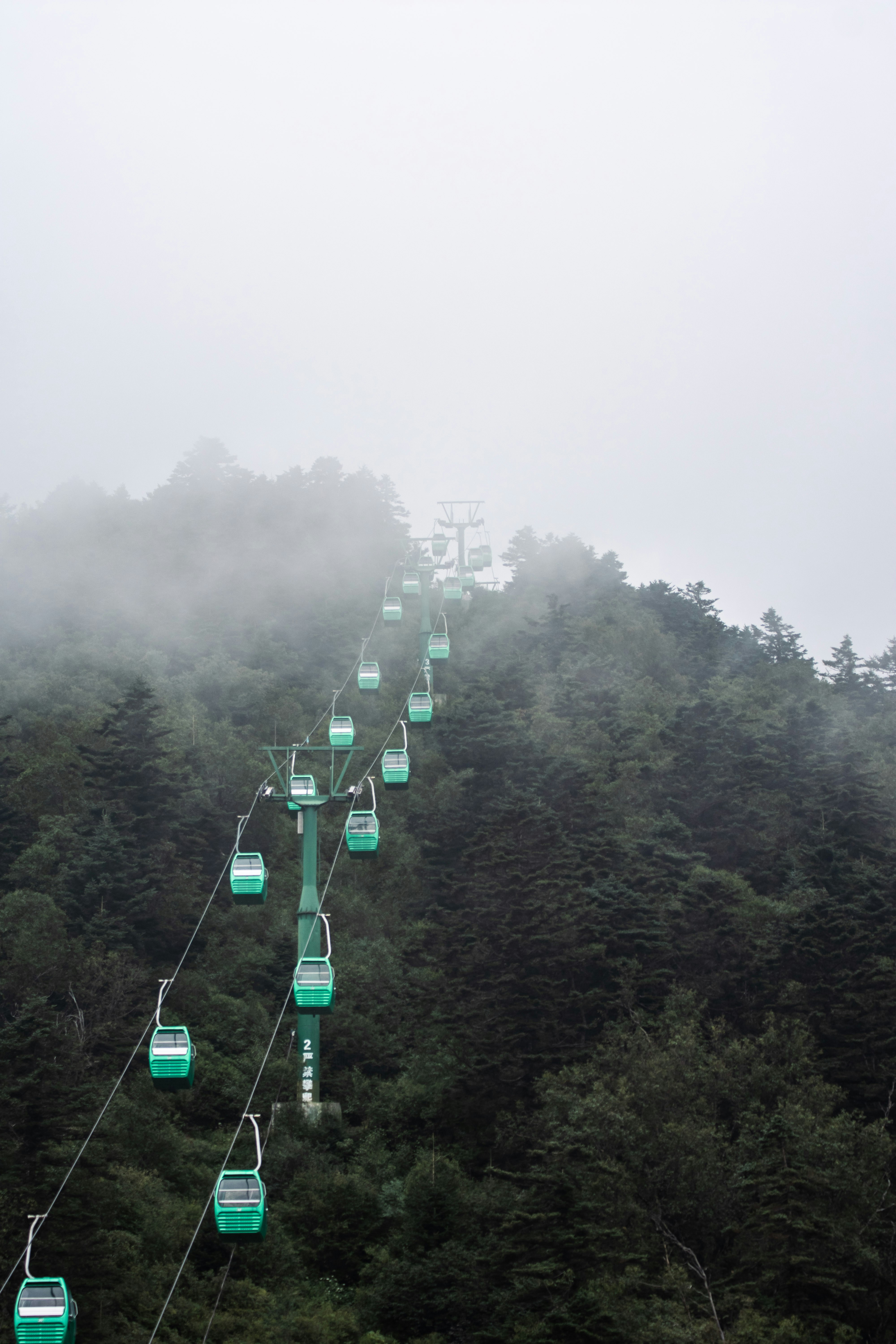 Photo by Spencer Gu with Nikon D7200