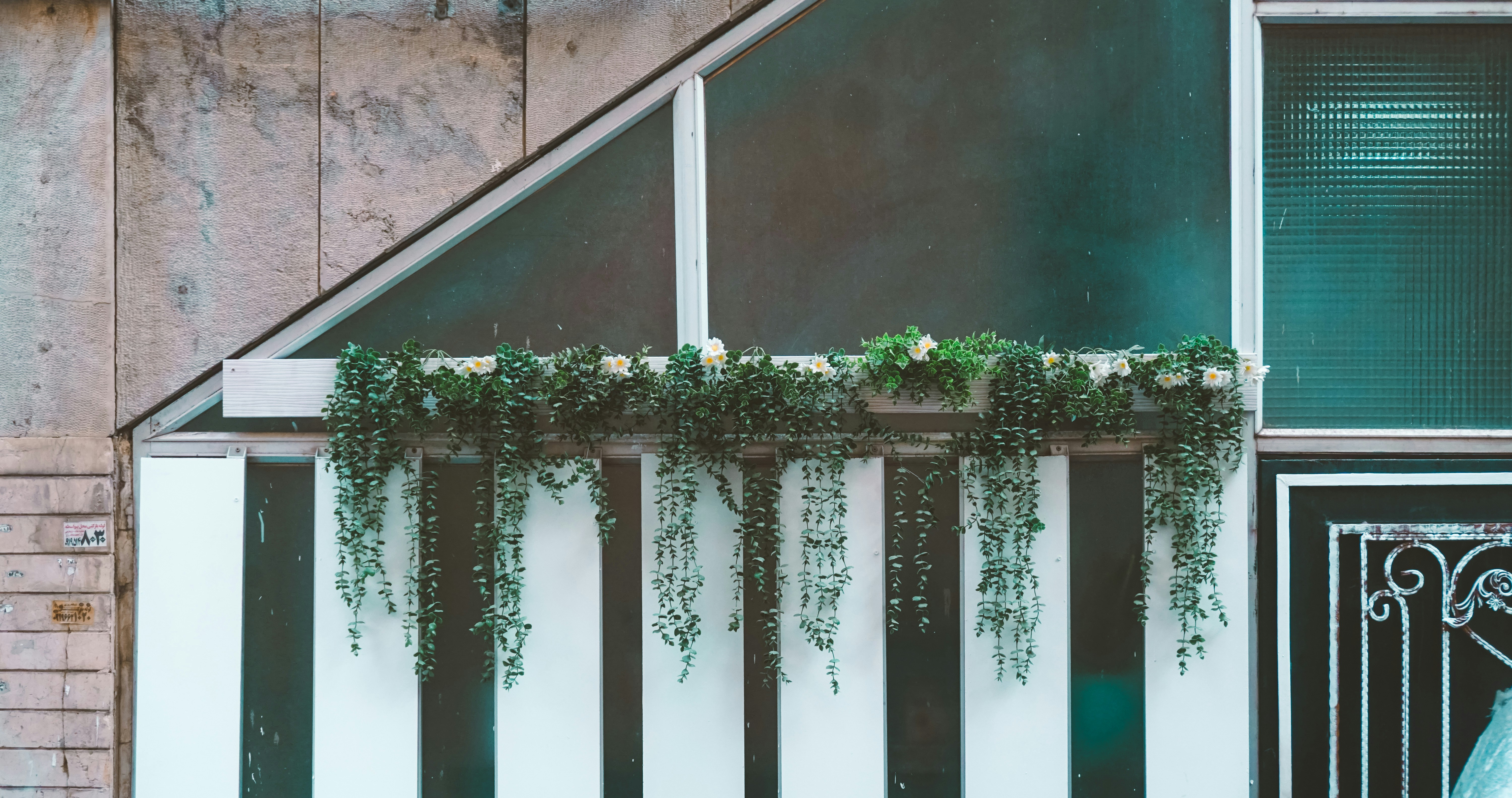 The rhythm of stripes and leaves.