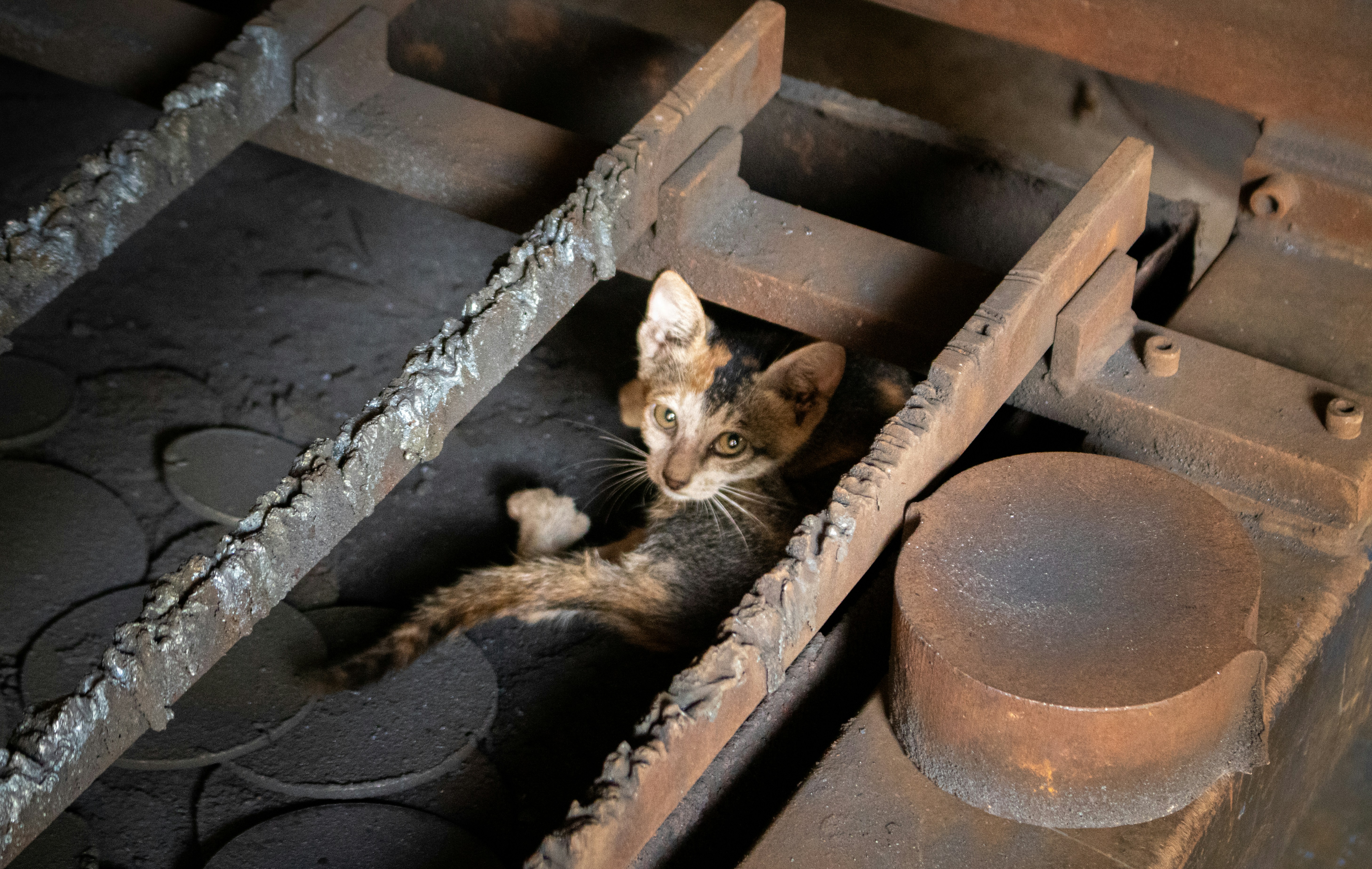 Whiskers Between the Grates: a Tiny Explorer in a Rusty Workshop