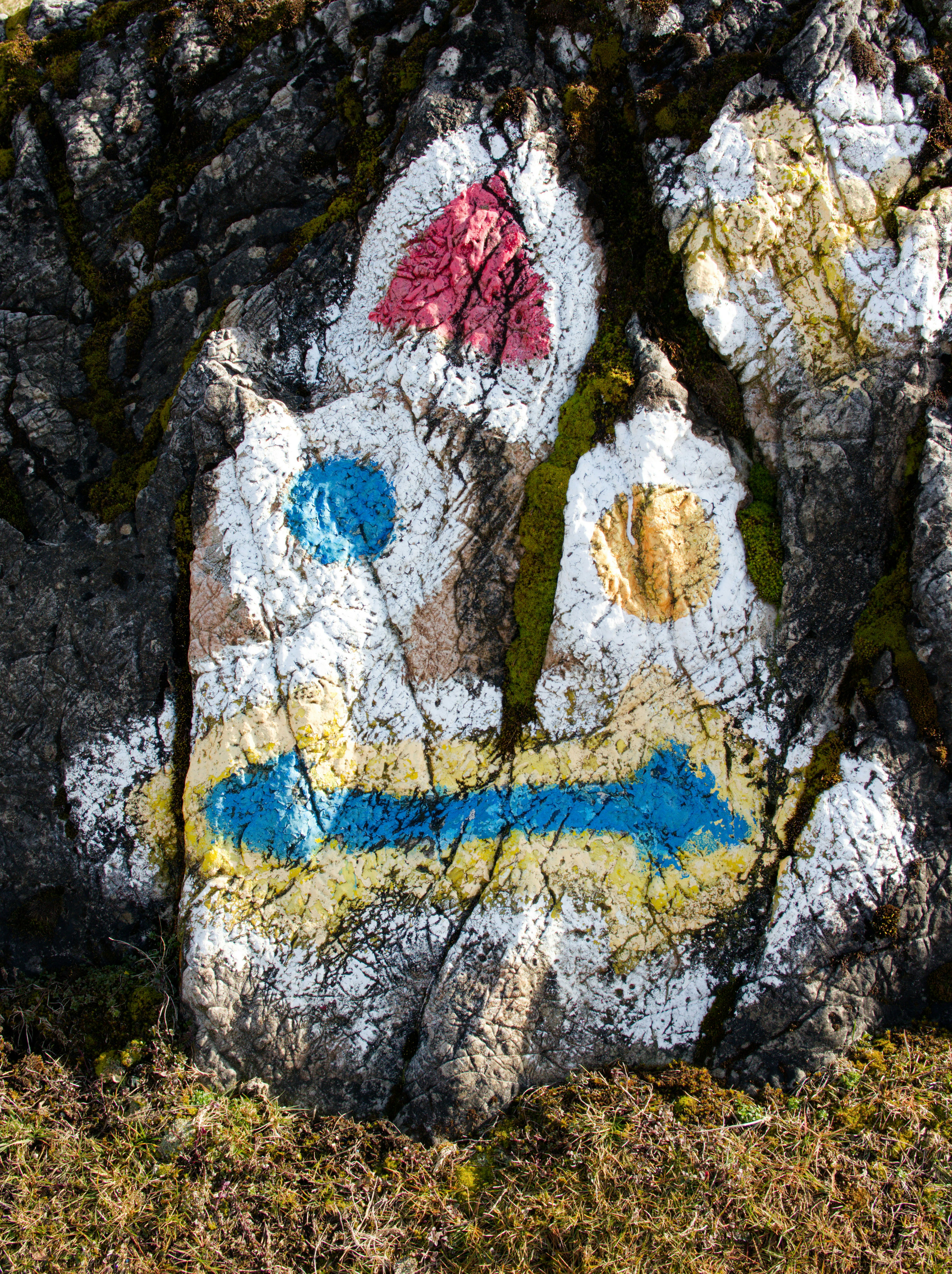 Photo by iuliu illes with OM System OM-1 Mark II