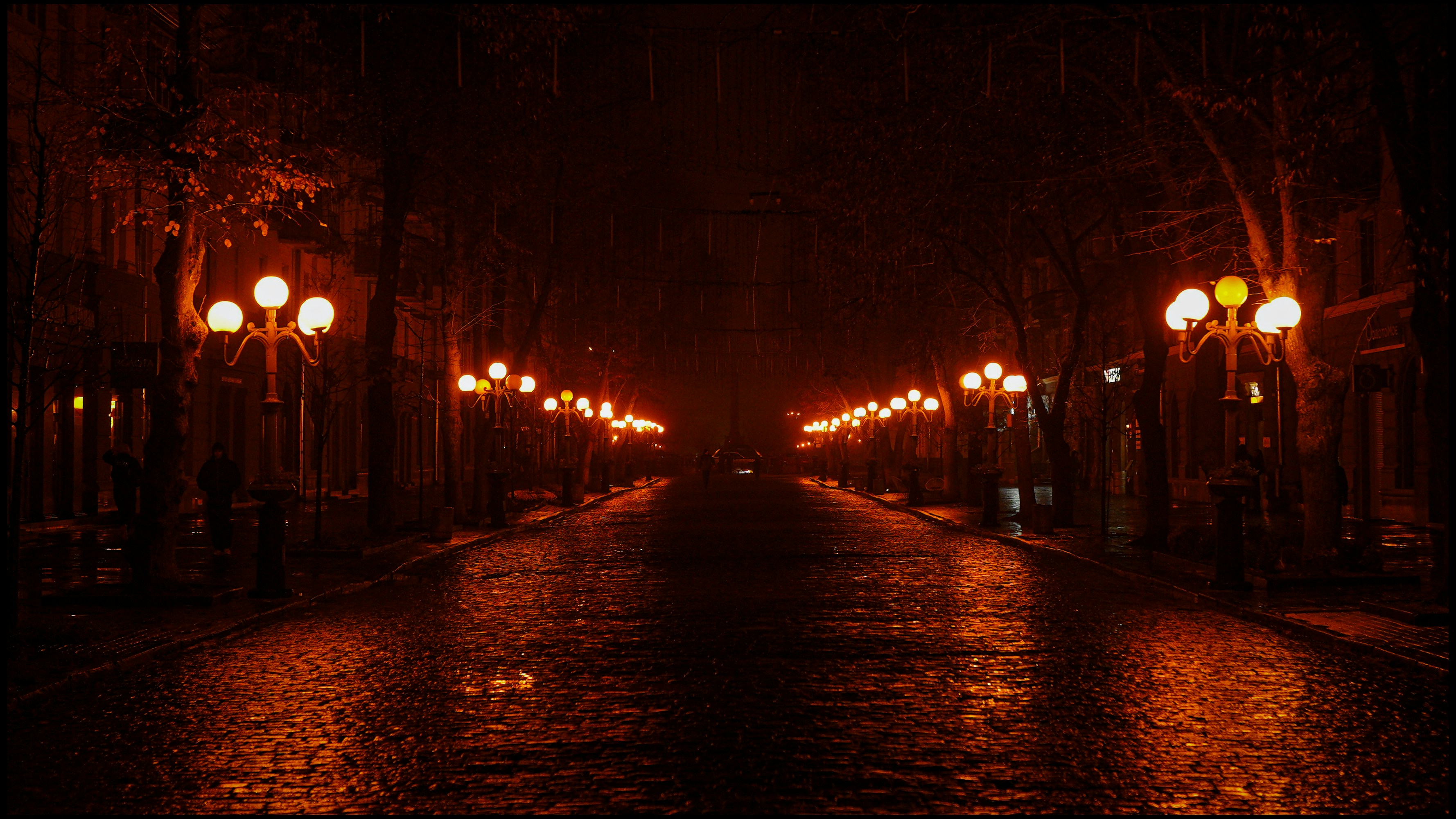 Photo by Олександр Білоцерківець with Sony Alpha 7C