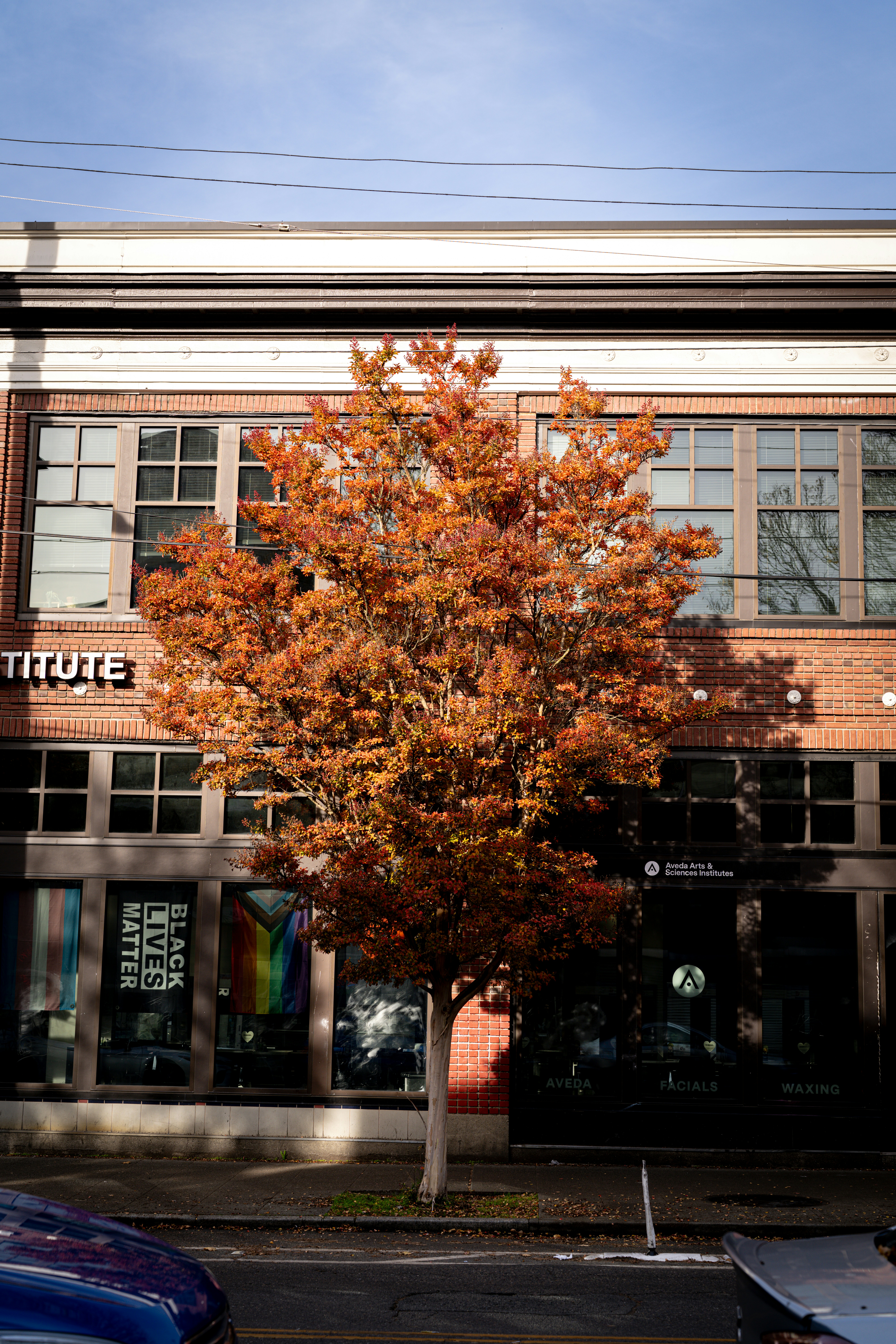 Photo by Frank Jing with Sony Alpha 7C R