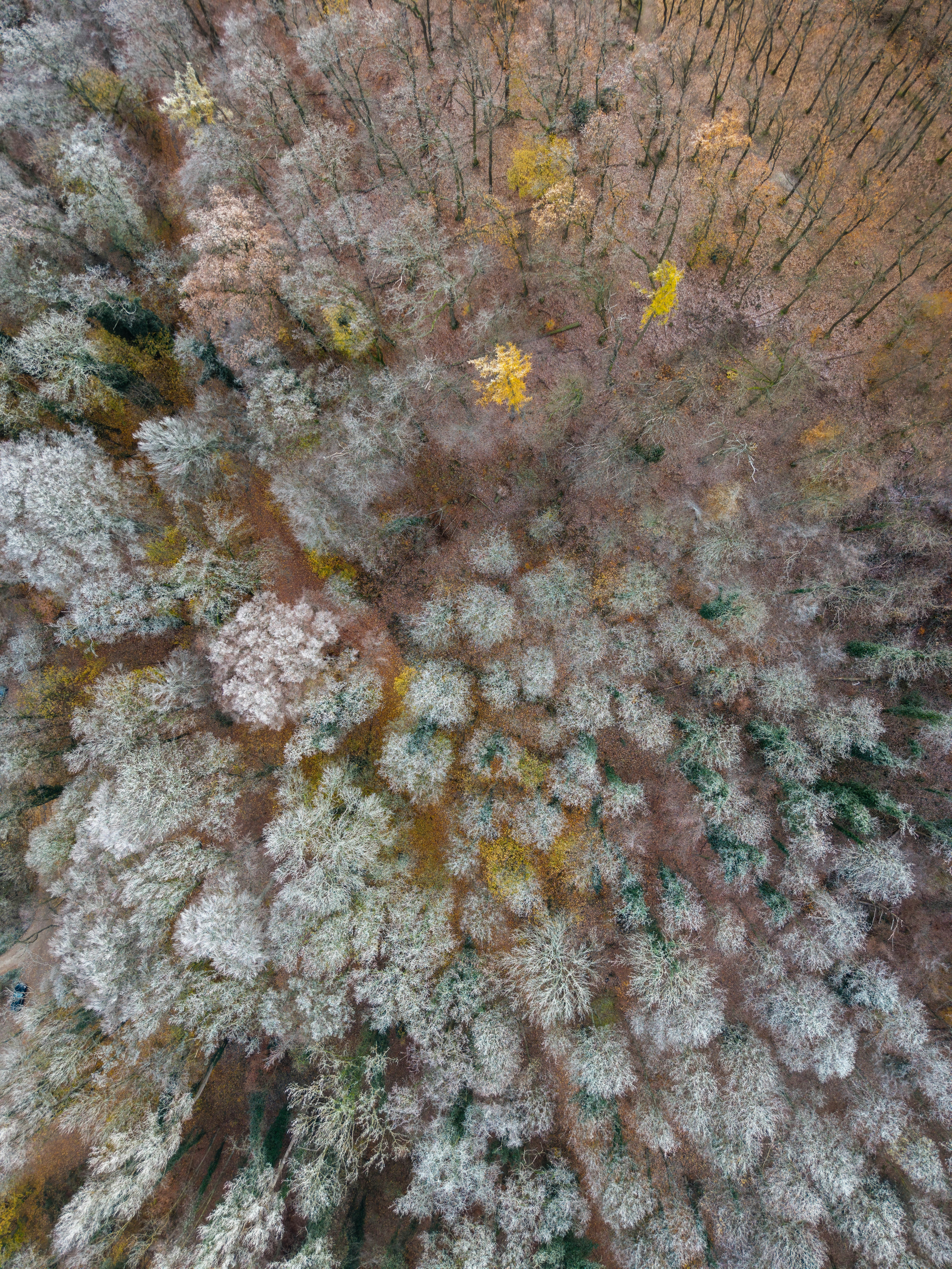 Photo by Bernd 📷 Dittrich with DJI Air 3S