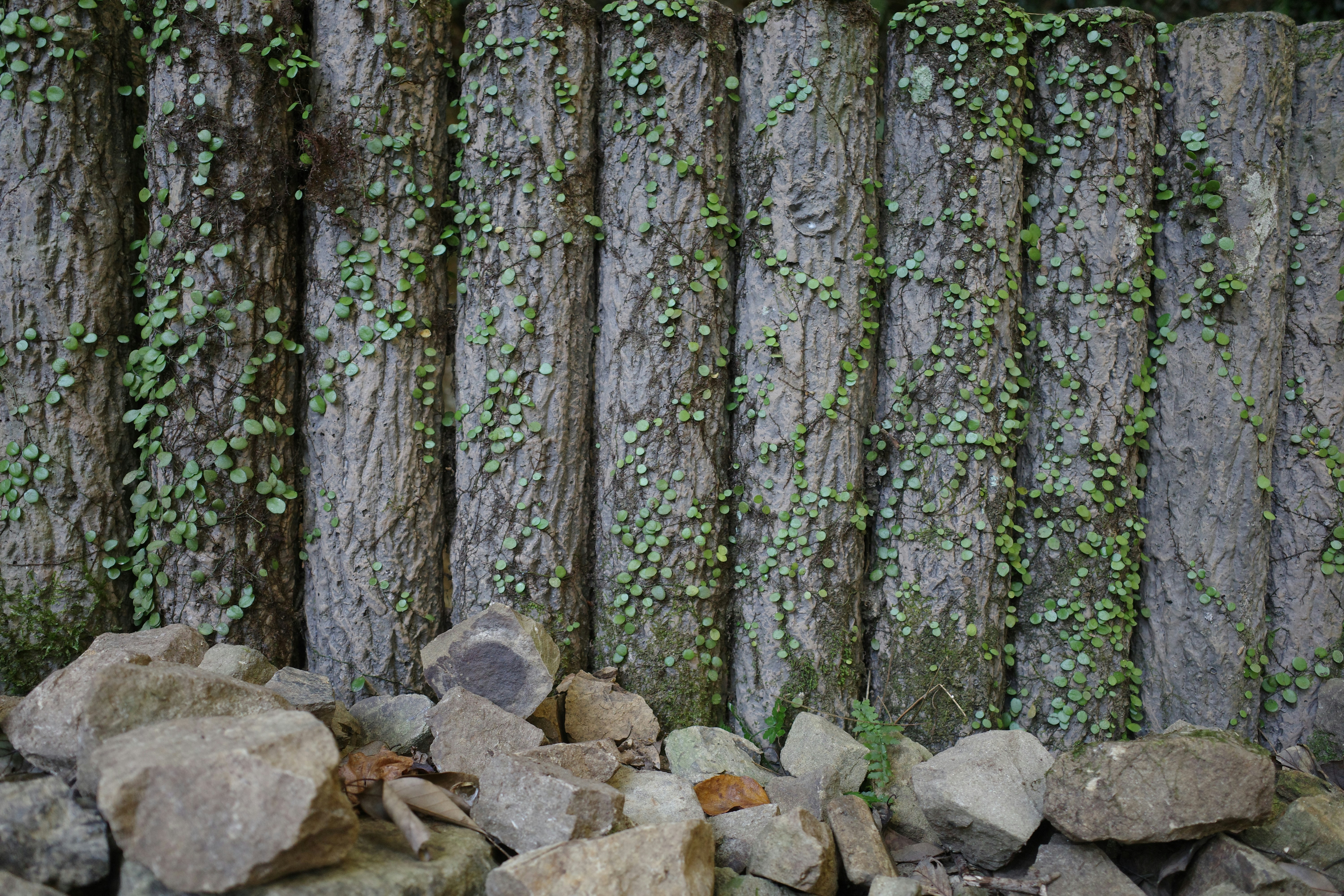 Moss-Ribbed Stone Wall: Vertical Texture Above a Pebble Bed