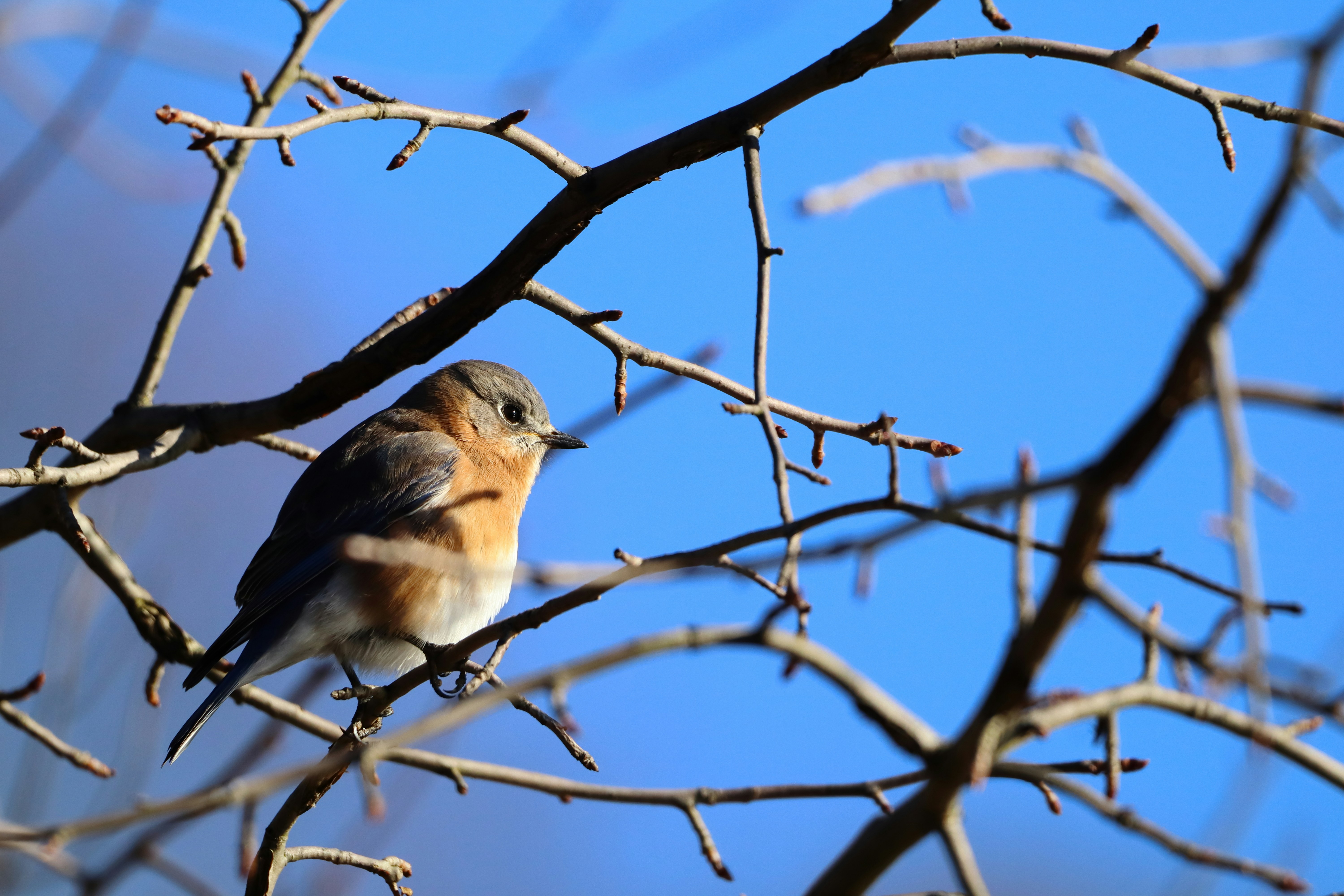 Photo by Chris Mclaughlin with Canon EOS M50