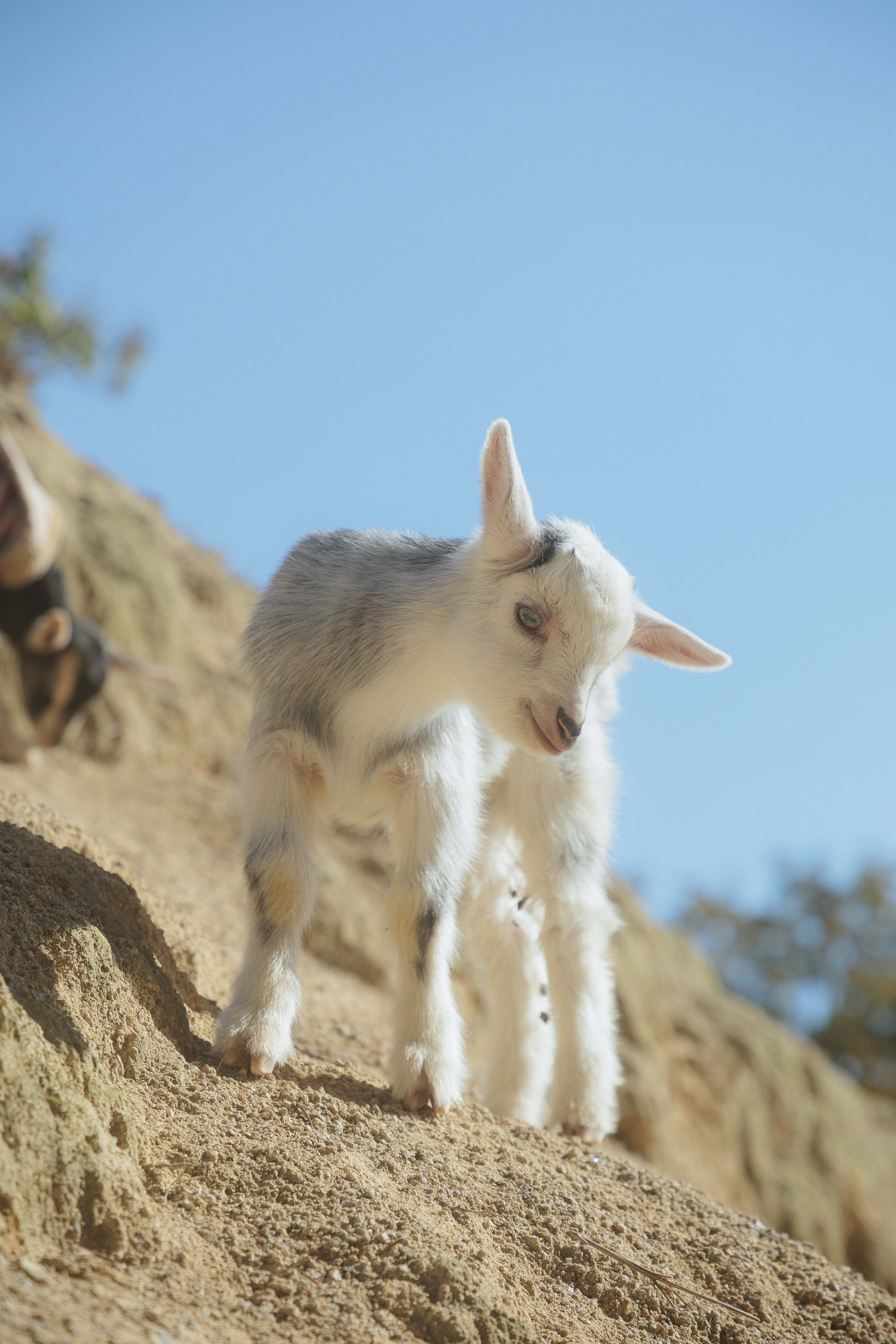 Photo by Gaku Suyama with Canon EOS R6