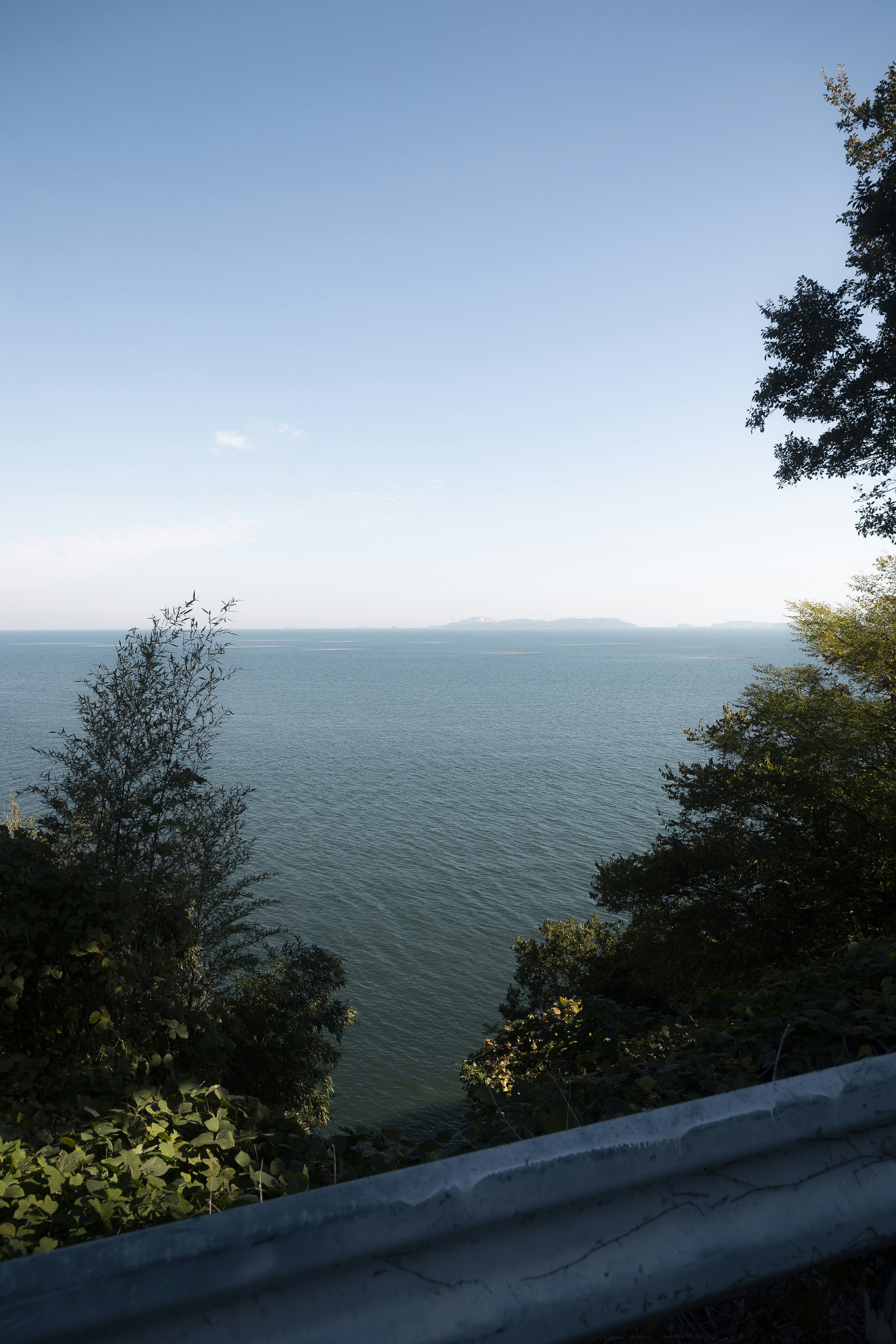 Photo by Gaku Suyama with Canon EOS R6