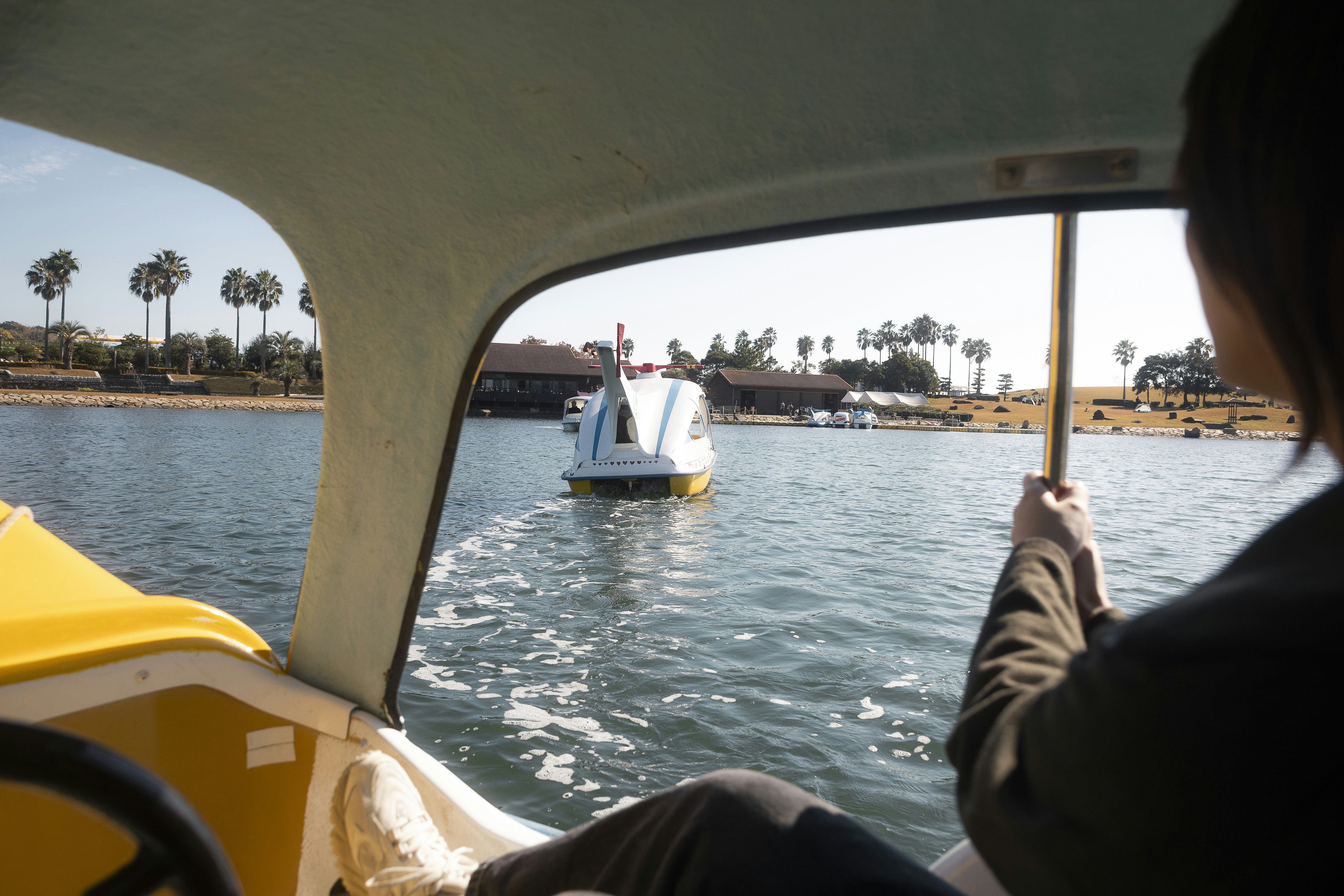 Swan-Boat Rendezvous on a Palm-Front Canal