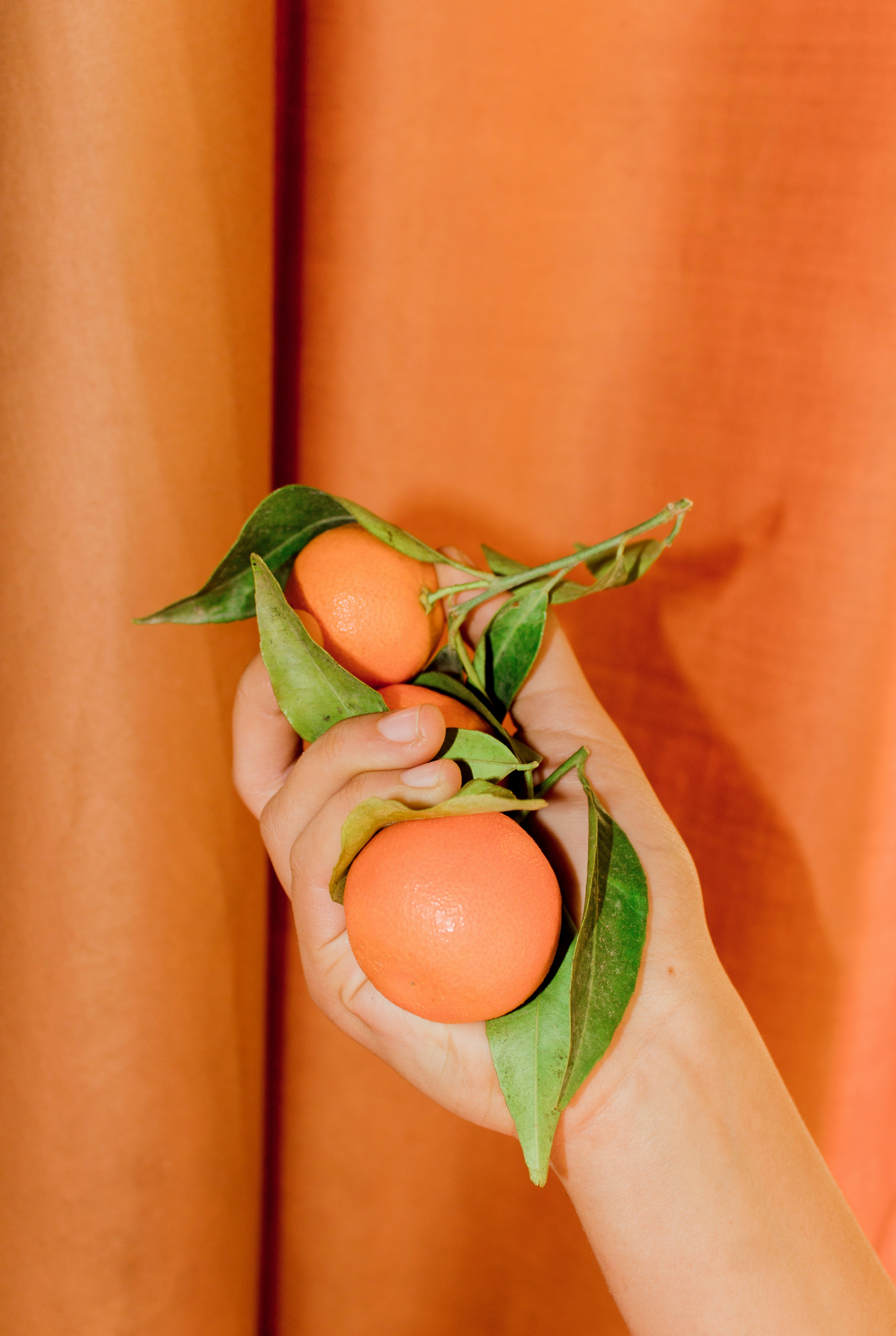 Photo by saif el ouarti with Canon EOS 1300D