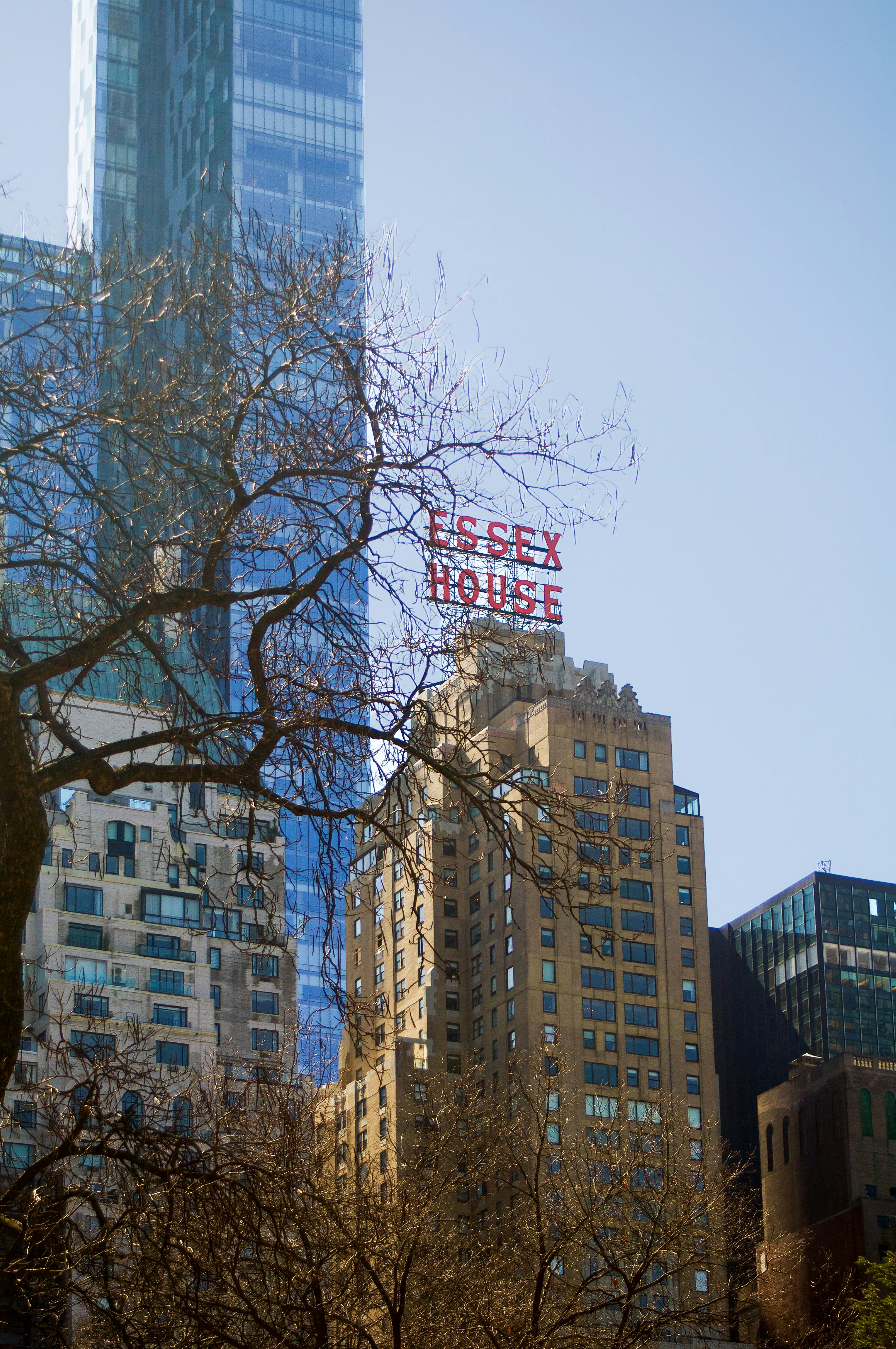 Essex House Sign Rising Above a Street of Glass and Leafless Trees