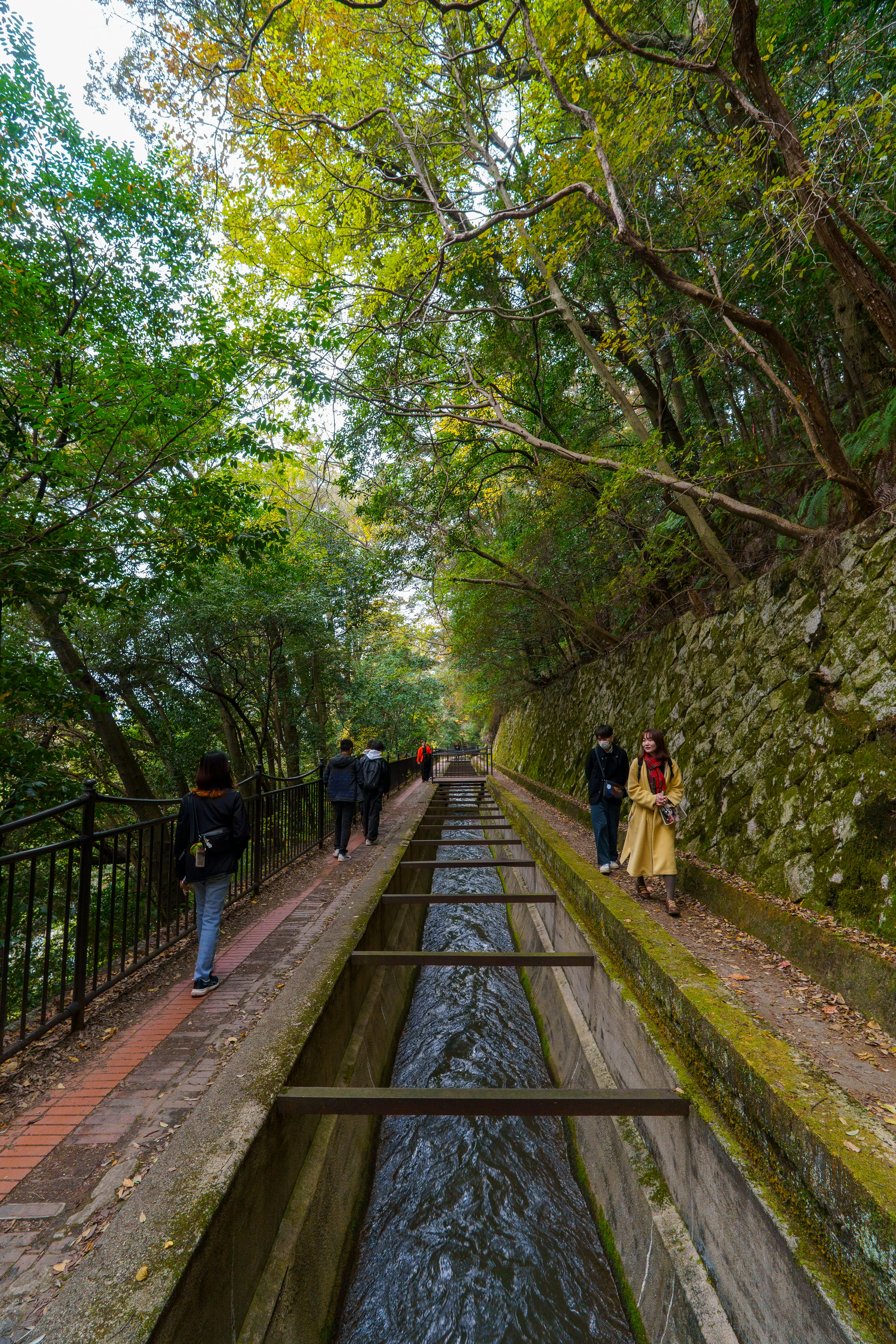 Photo by SRTgraphy with Sony Alpha 6400