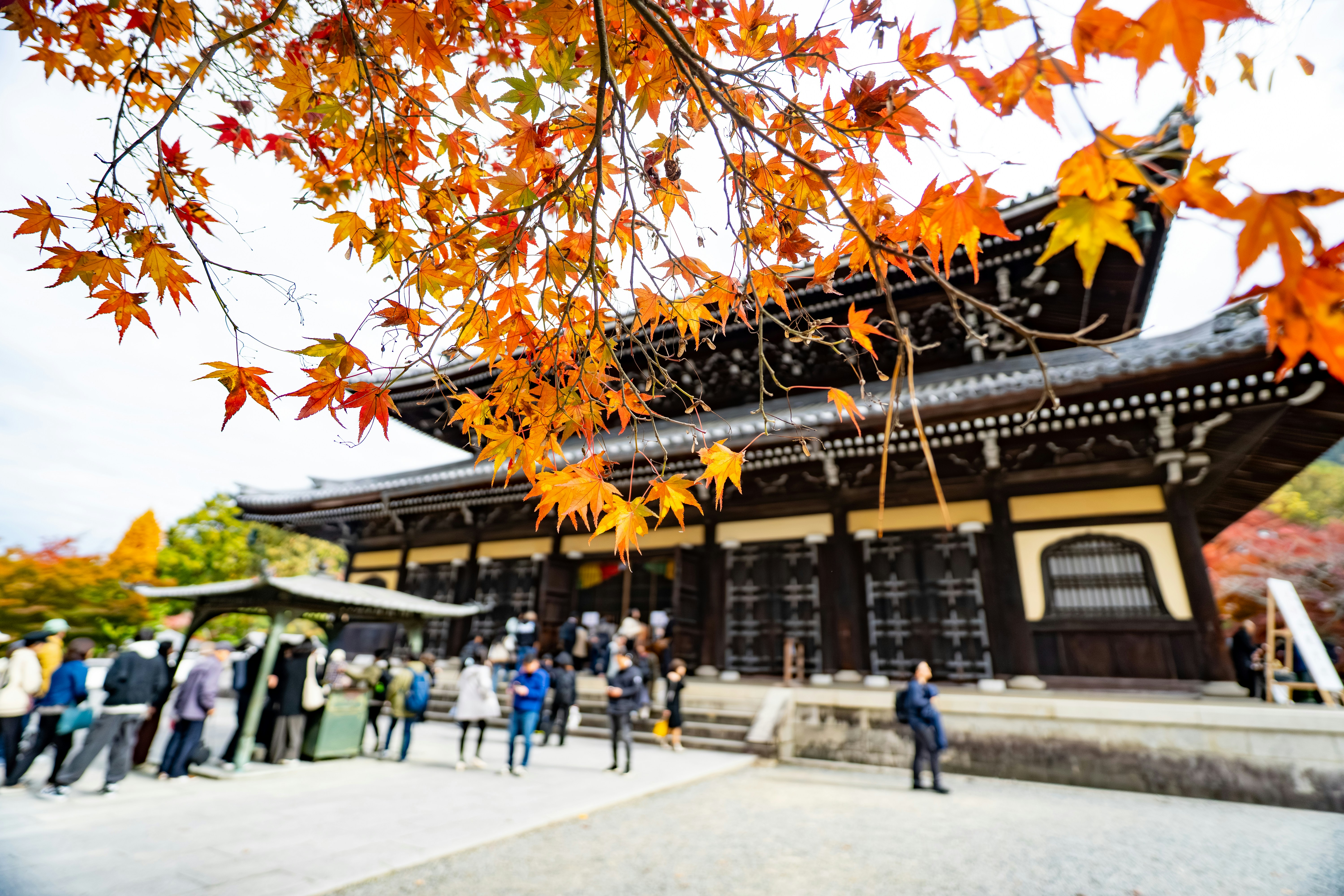 Photo by SRTgraphy with Sony Alpha 6400