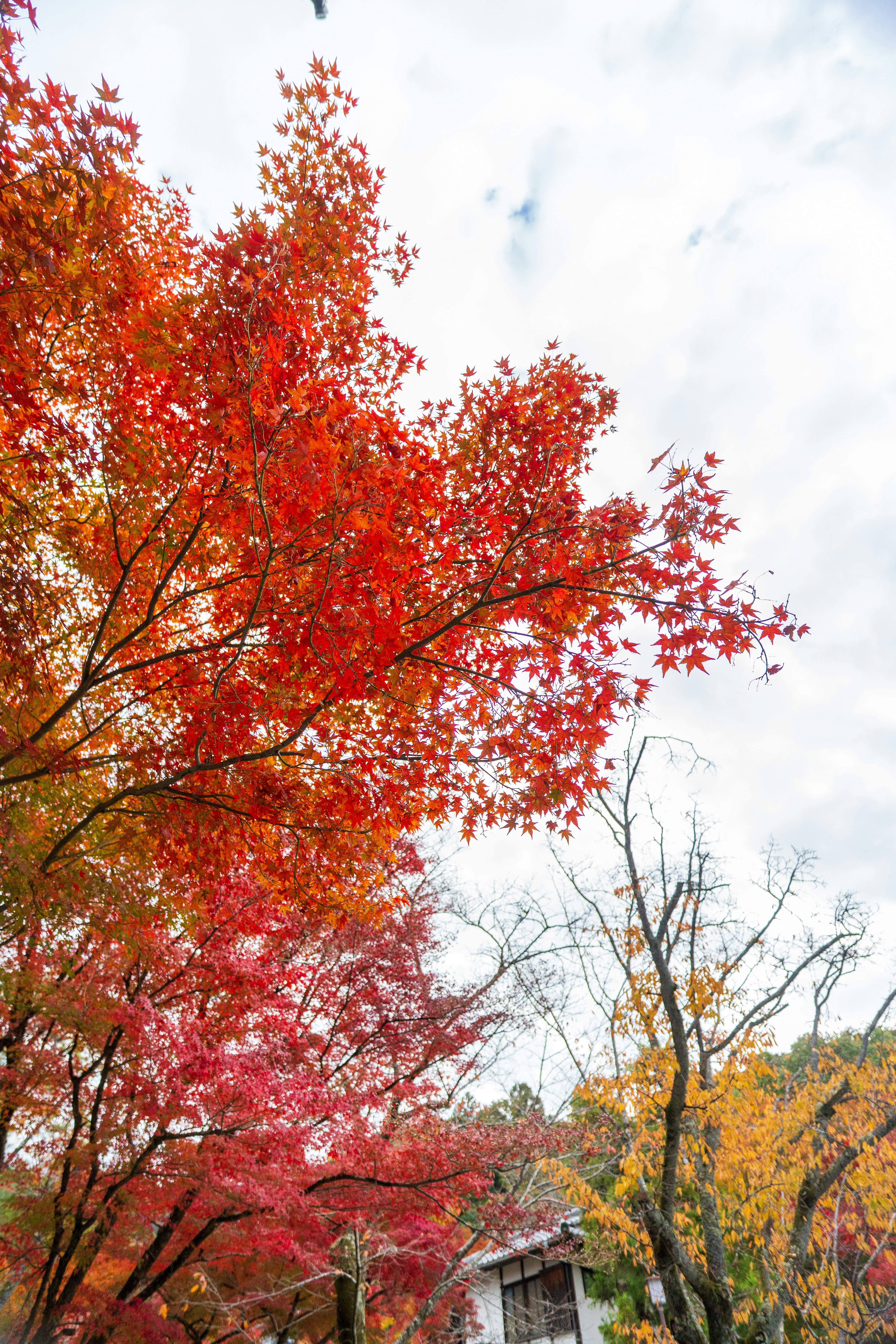 Photo by SRTgraphy with Sony Alpha 6400