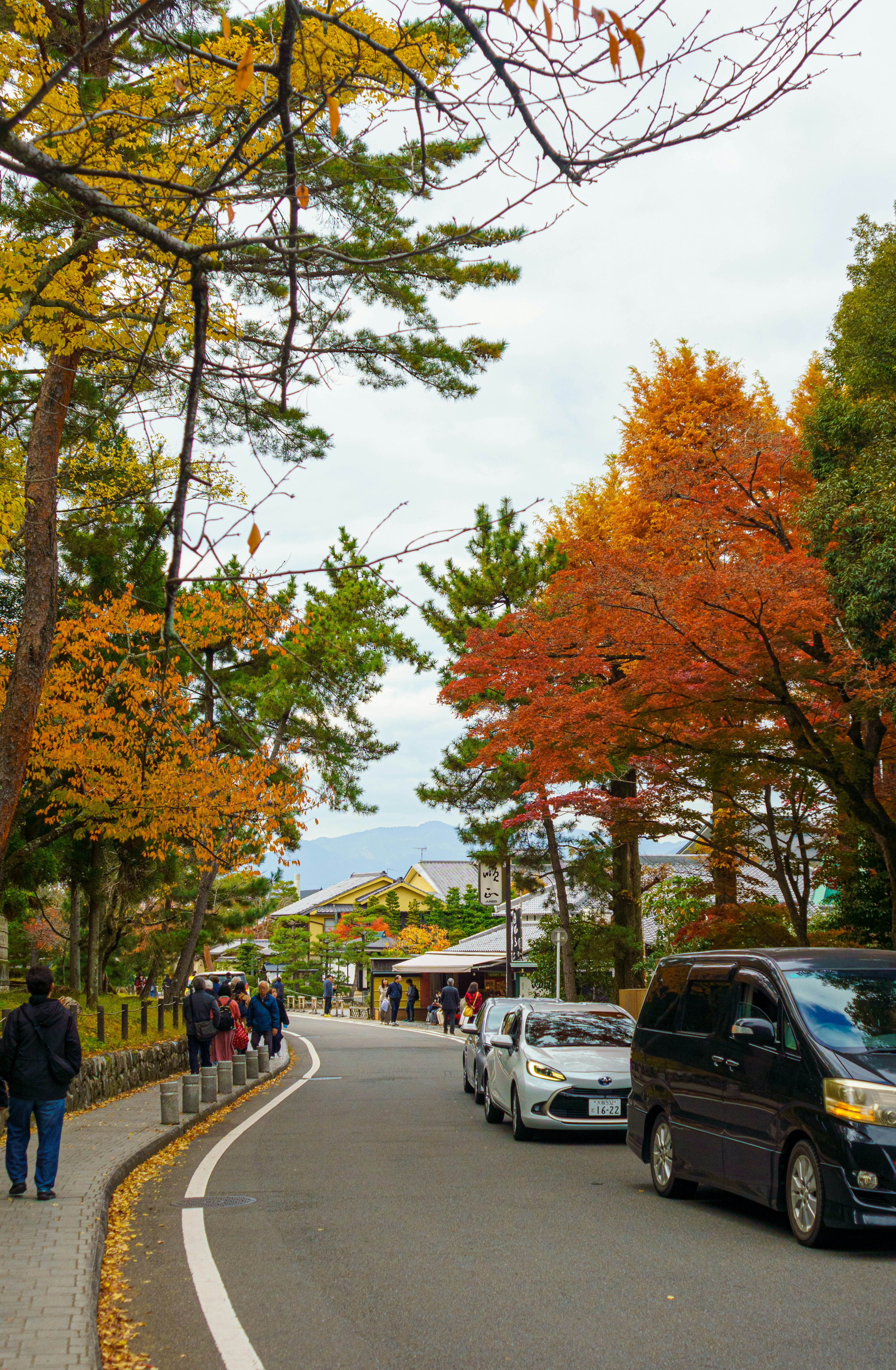 Autumn Alley: A Curved Street Framed by Orange and Yellow Foliage