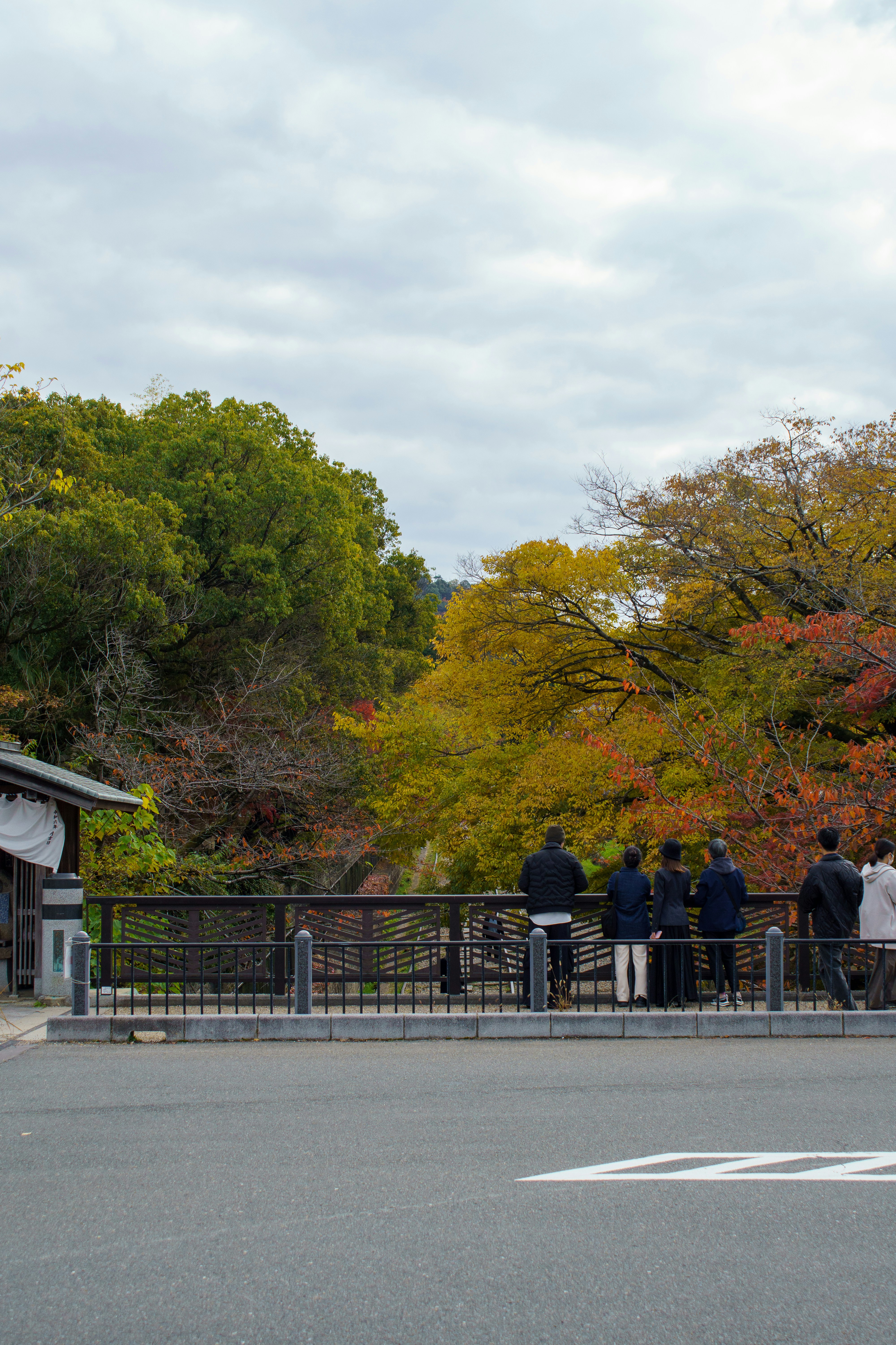 Autumn Overlook: A Crowd at the Rail Beneath Colorful Trees