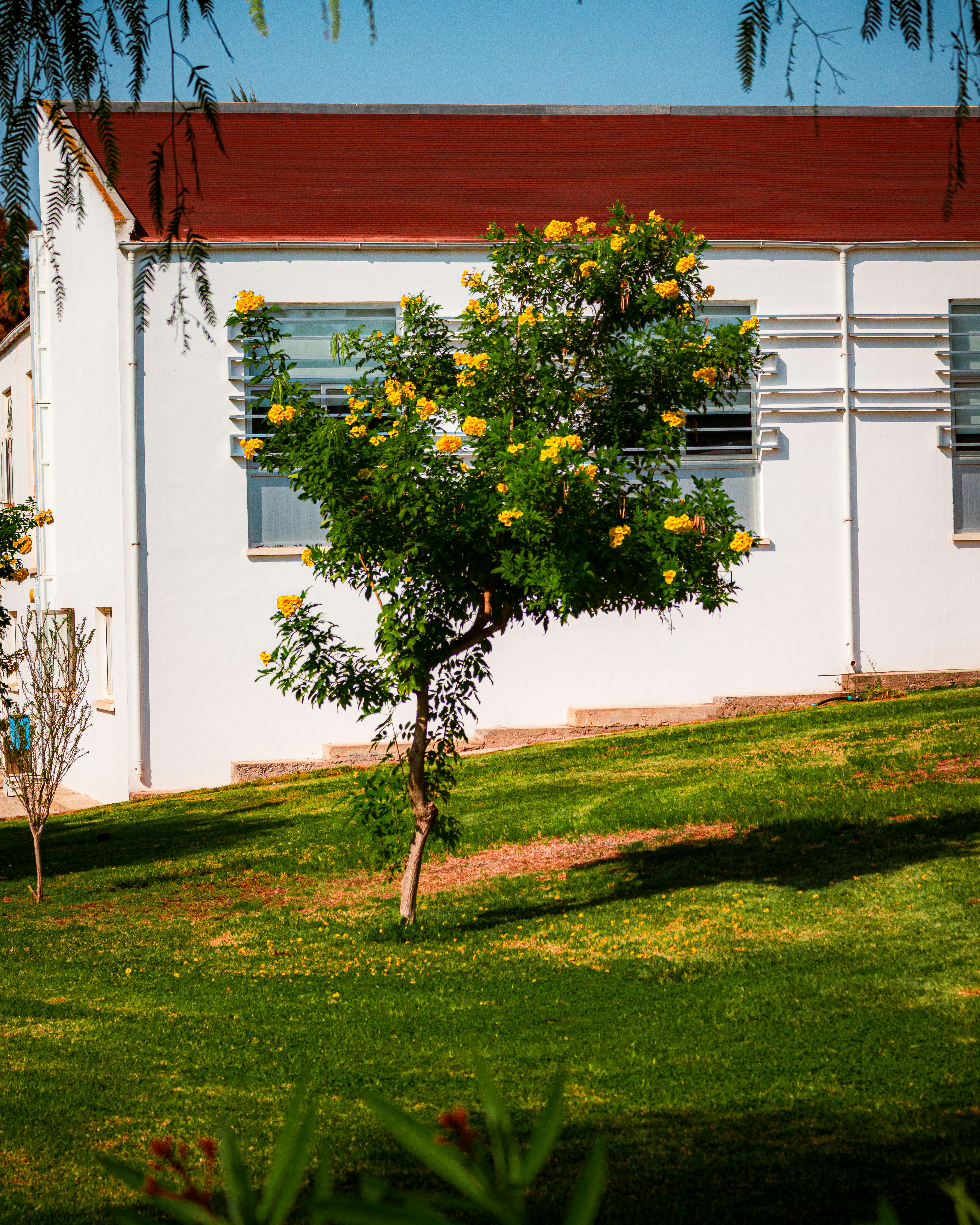 Photo by Sadiq Ali with Canon EOS 700D