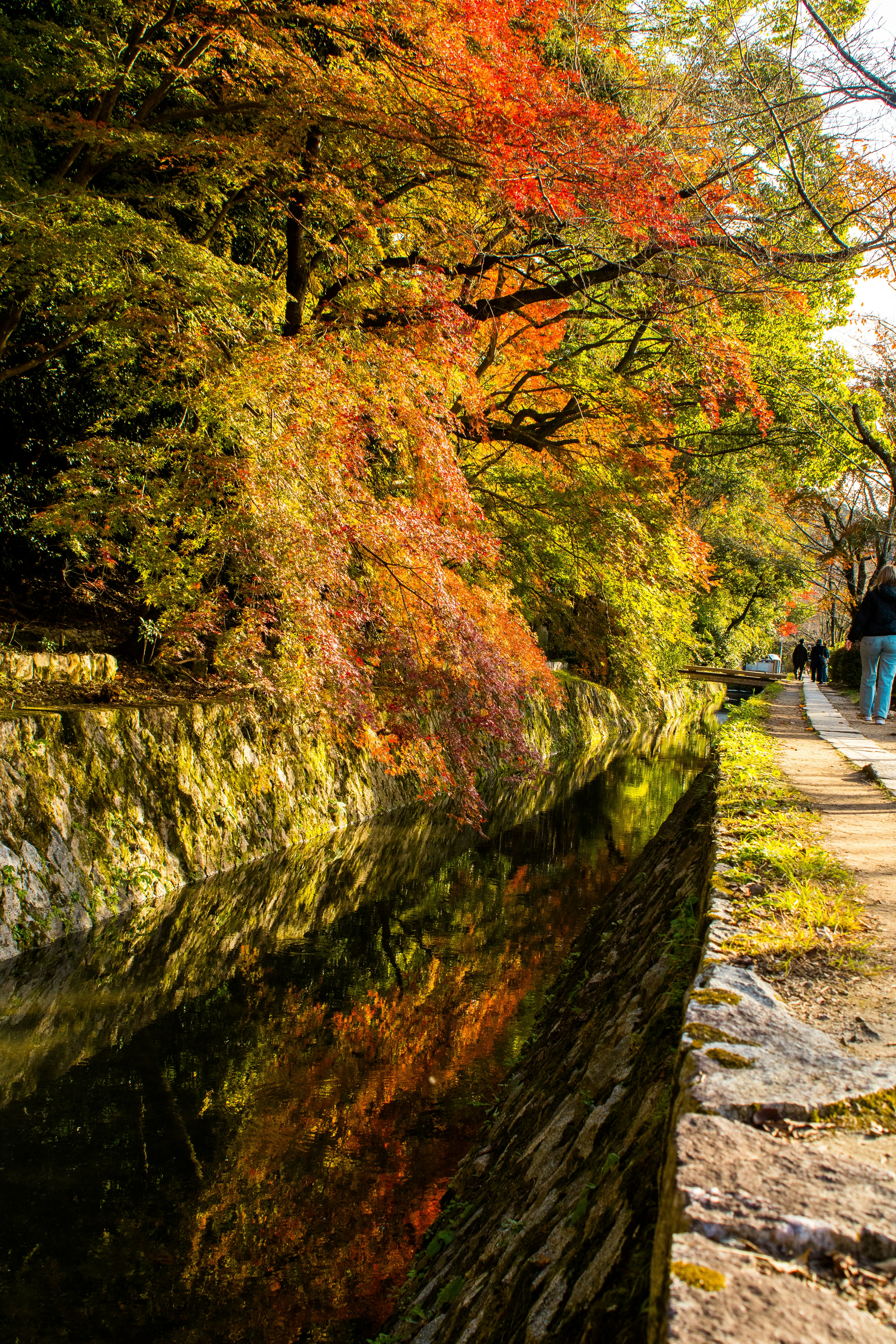 Photo by SRTgraphy with Sony Alpha 6400