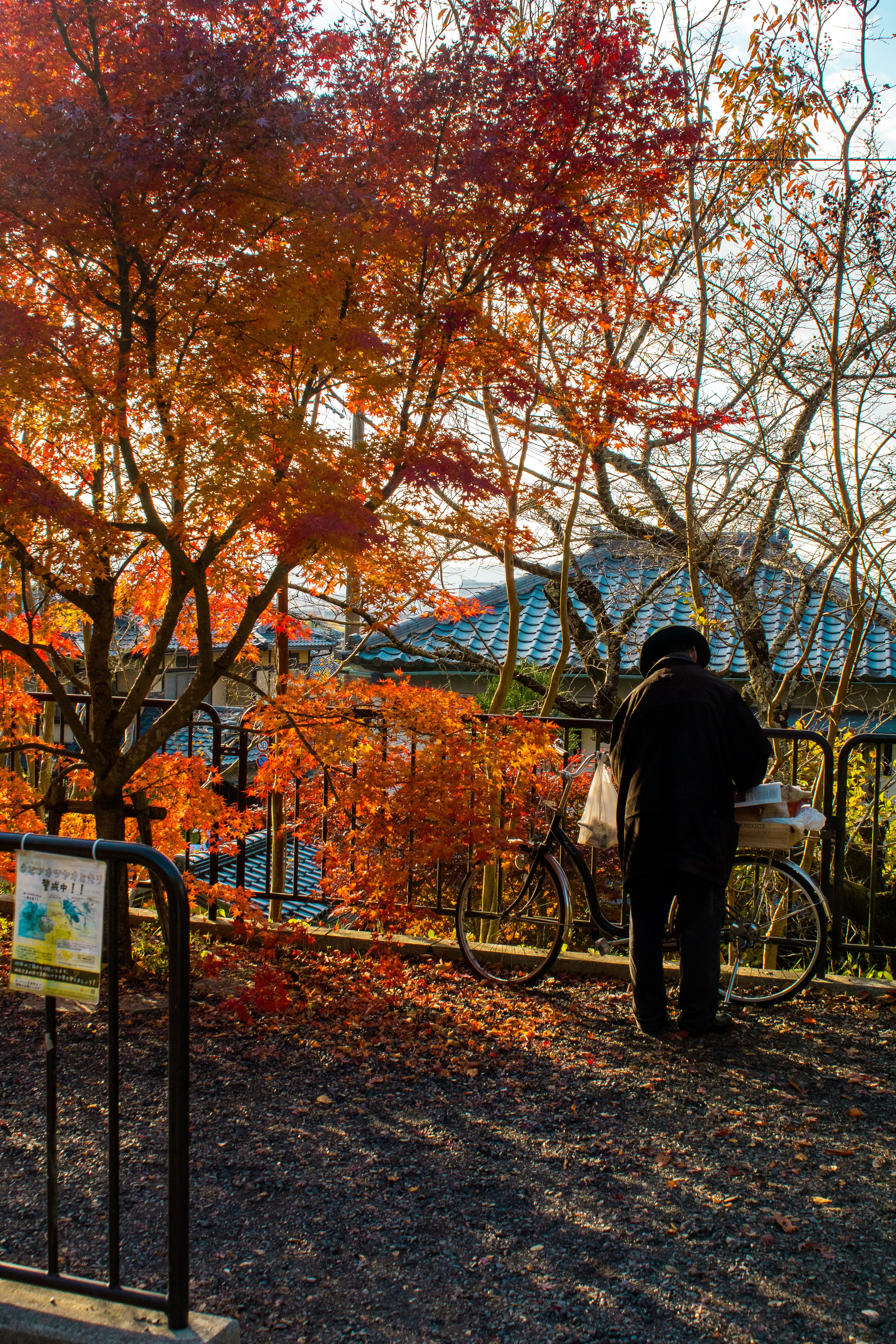 Autumn by the Bike: Quiet Moment Along the Railing