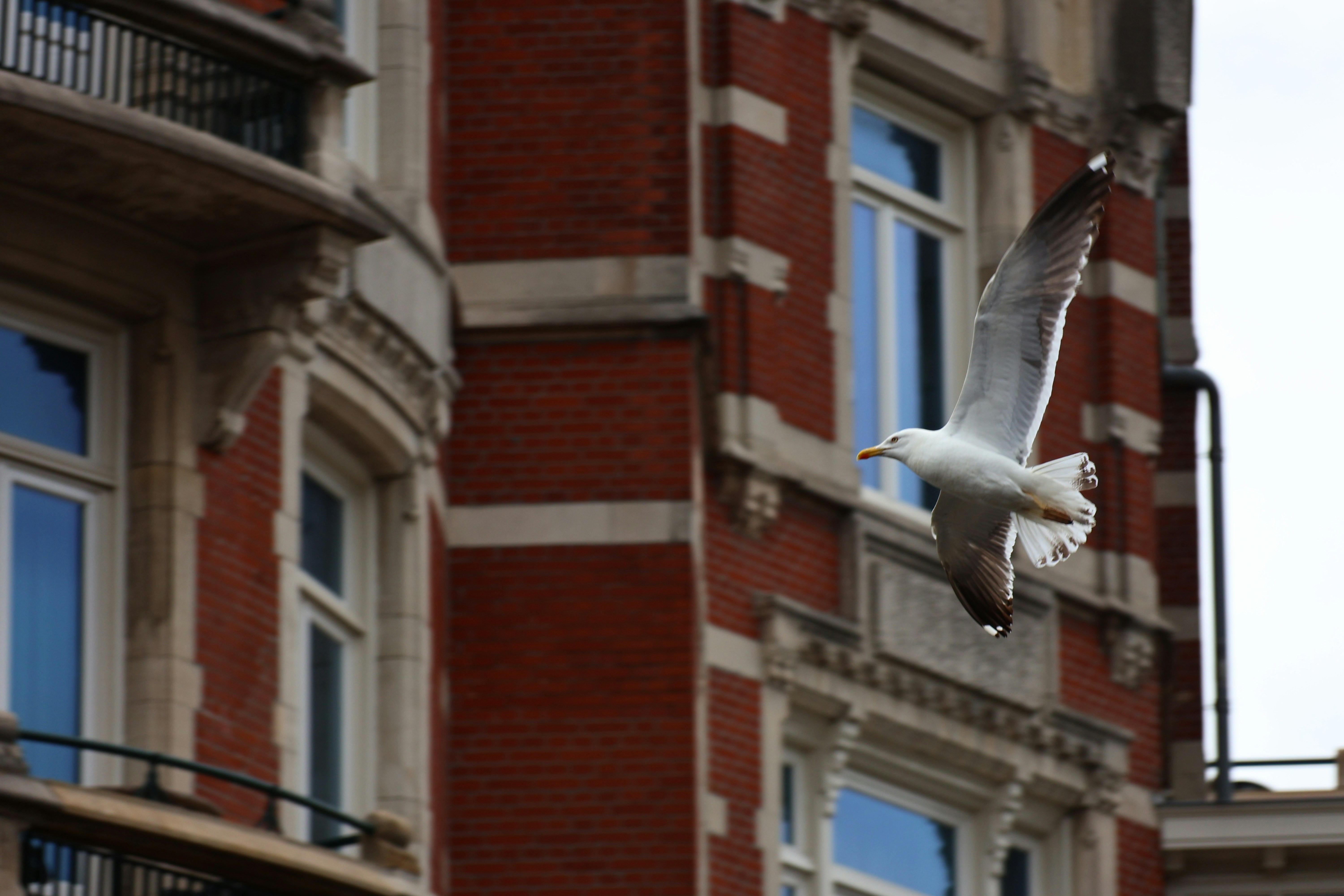 Photo by Matthew Chow with Canon EOS R10