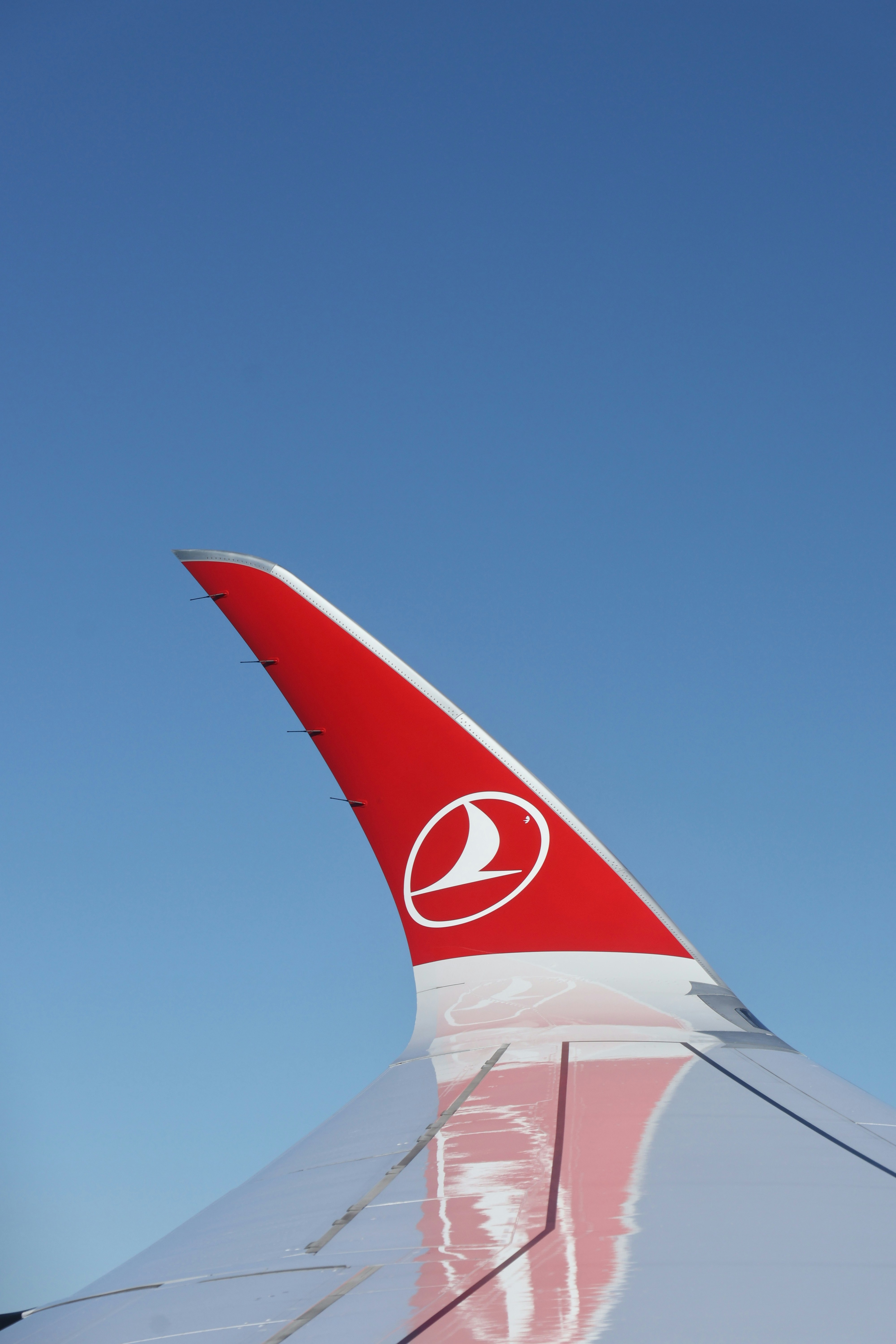 Photo by Matthew Chow with Canon EOS R10