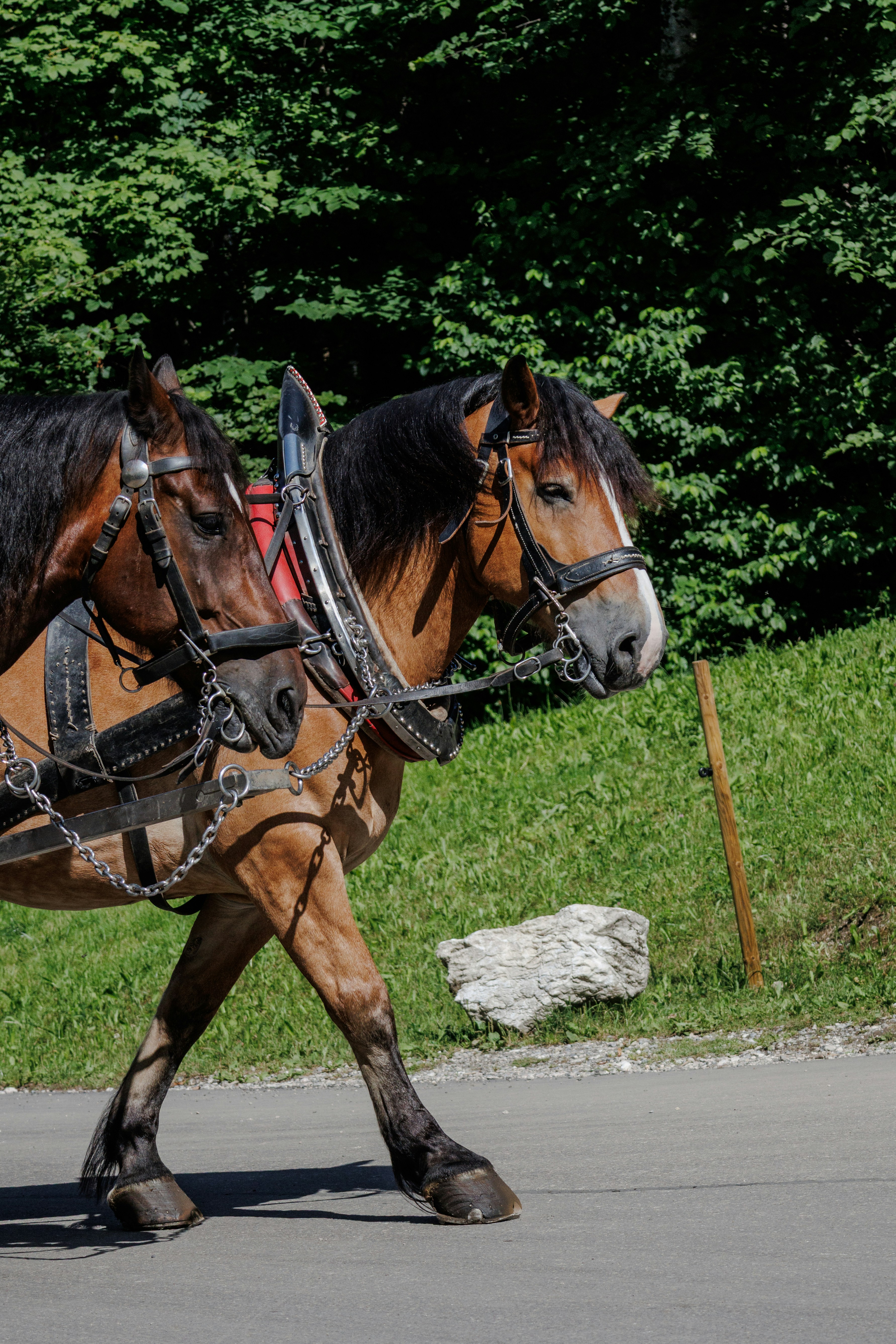 Photo by Matthew Chow with Canon EOS R10