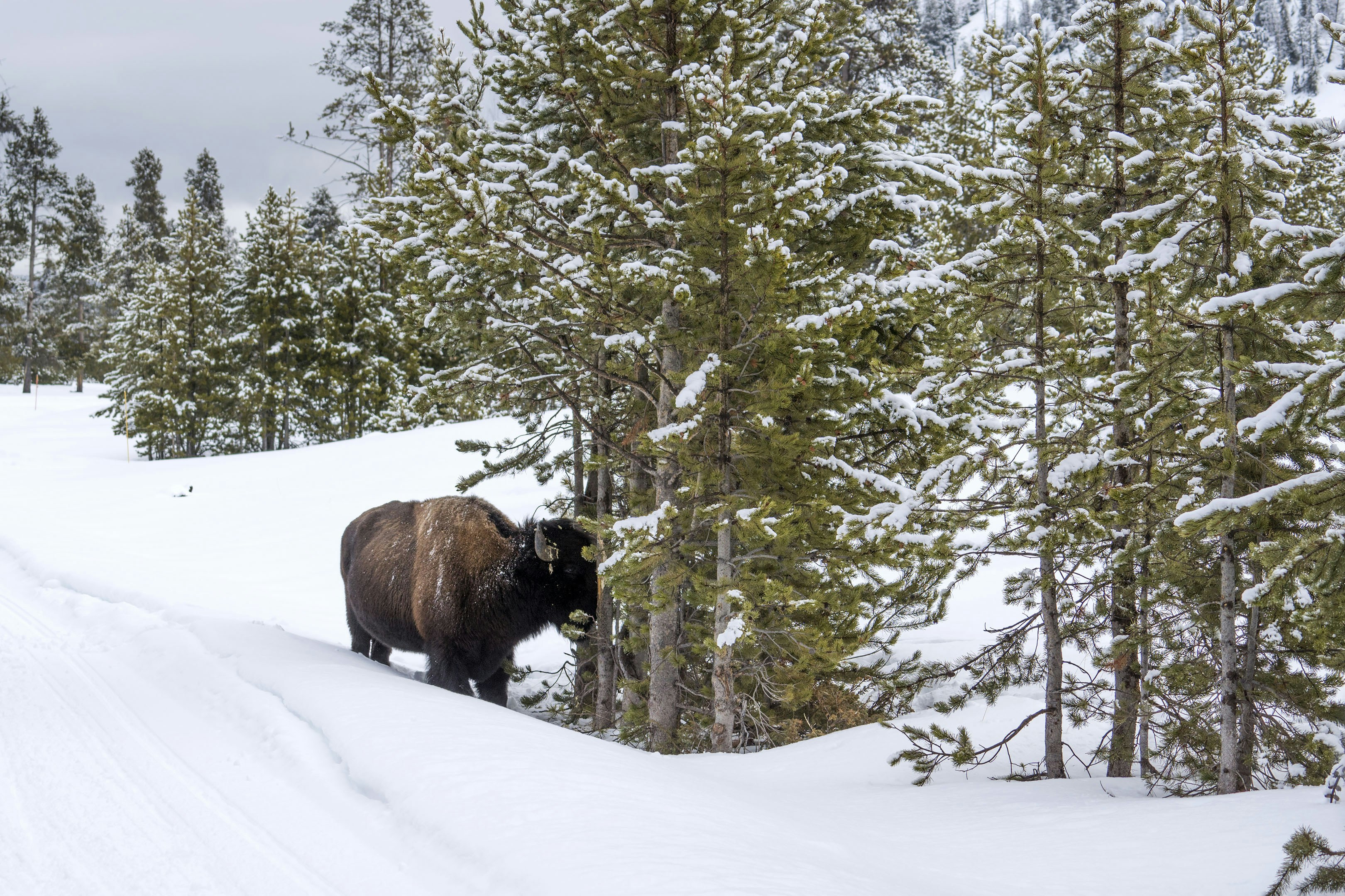 Photo by Wietse Jongsma with Sony Alpha 77 II