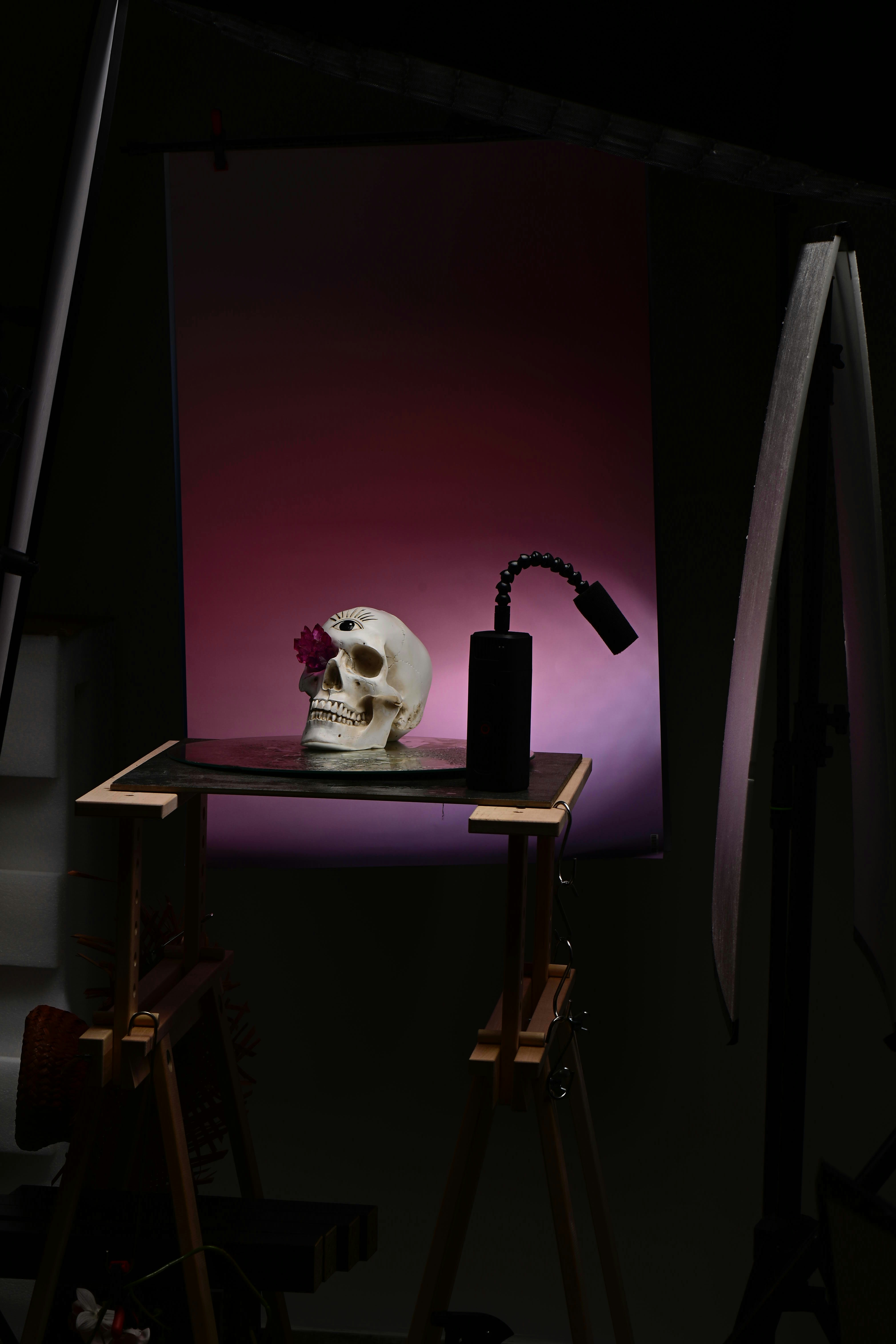 Photo by Sofia Lasheva with Nikon Zf