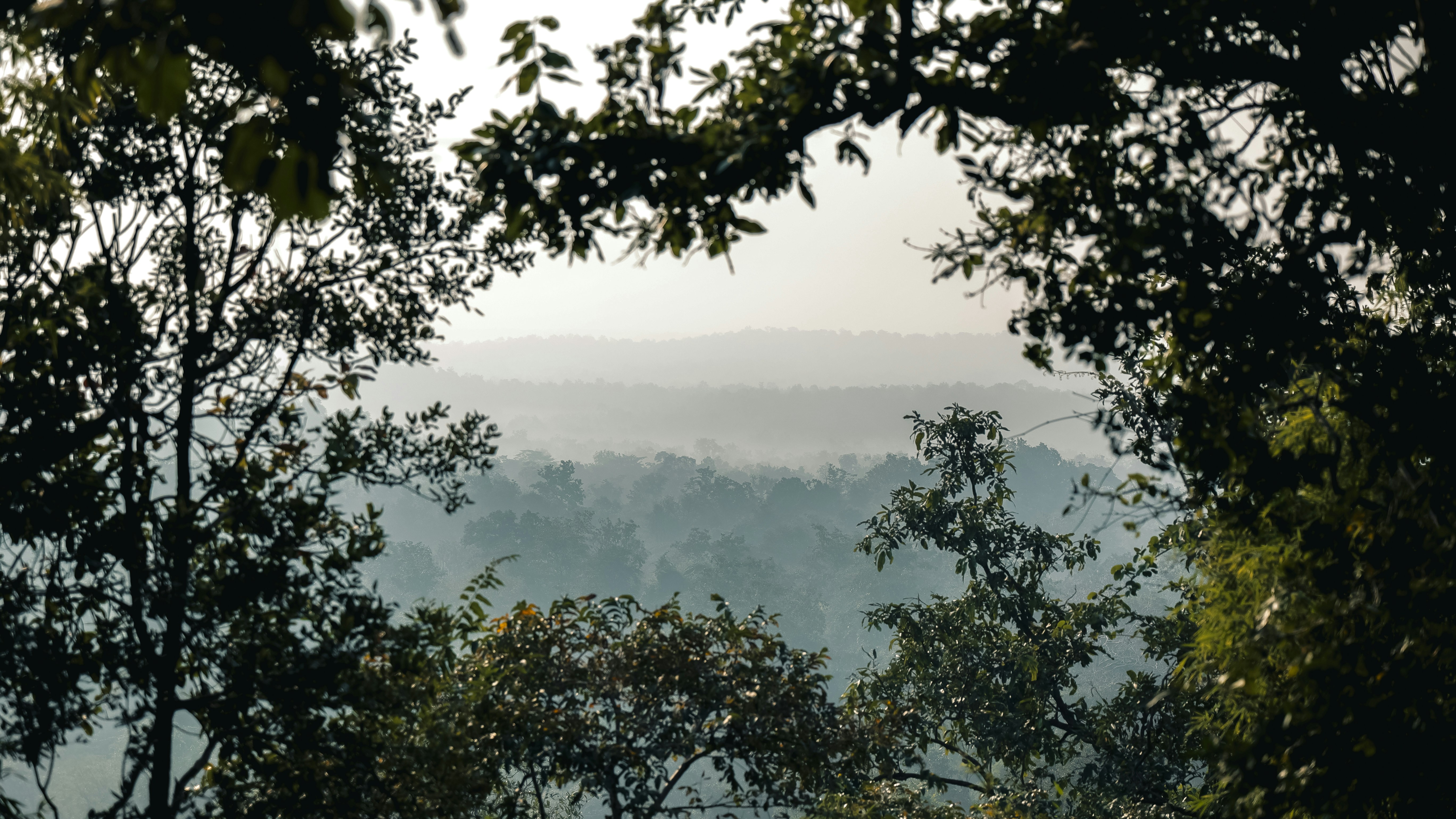 Photo by Adnan Saifee with Canon EOS R6