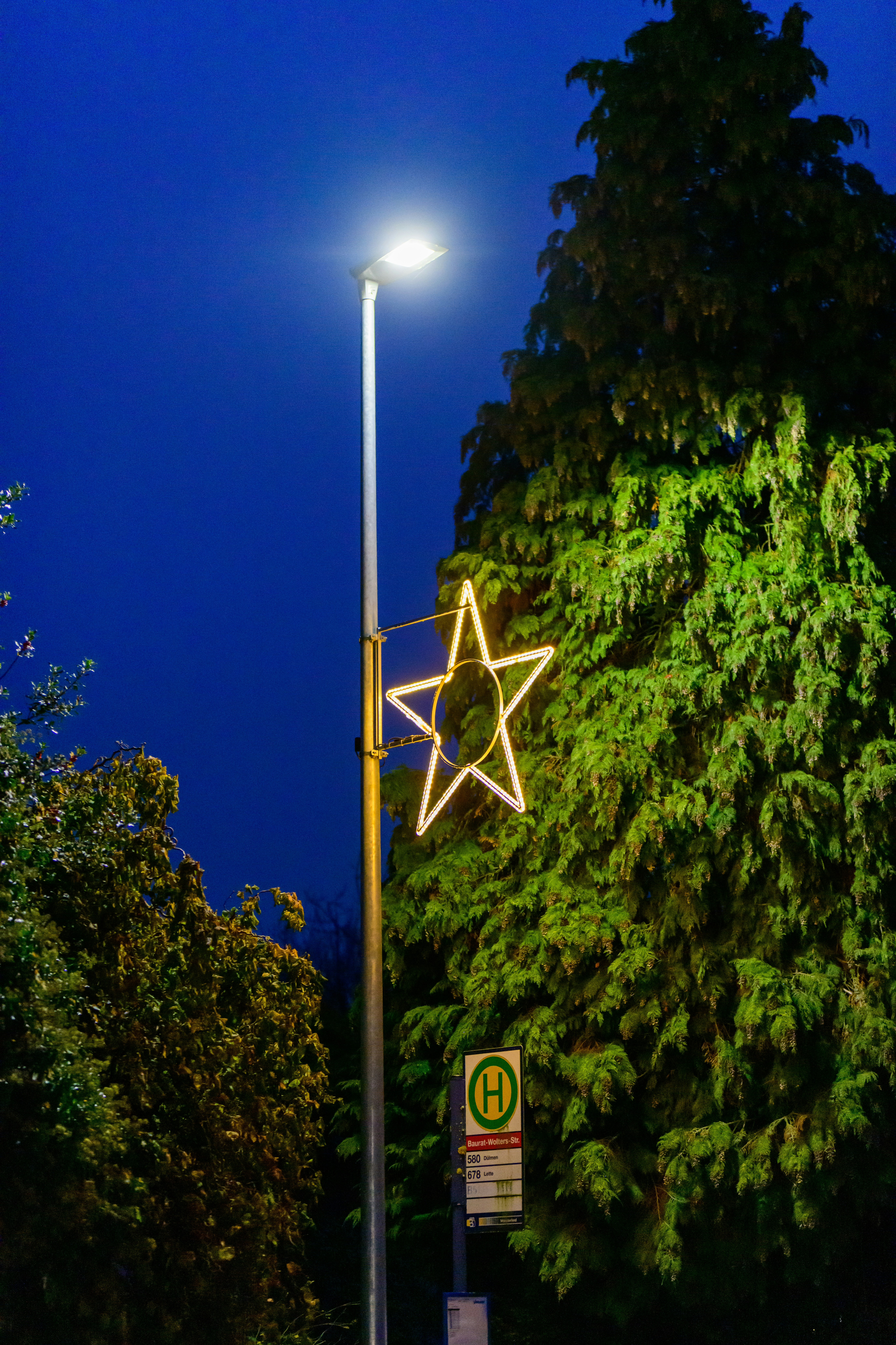 Neon Star on a Midnight Lamppost