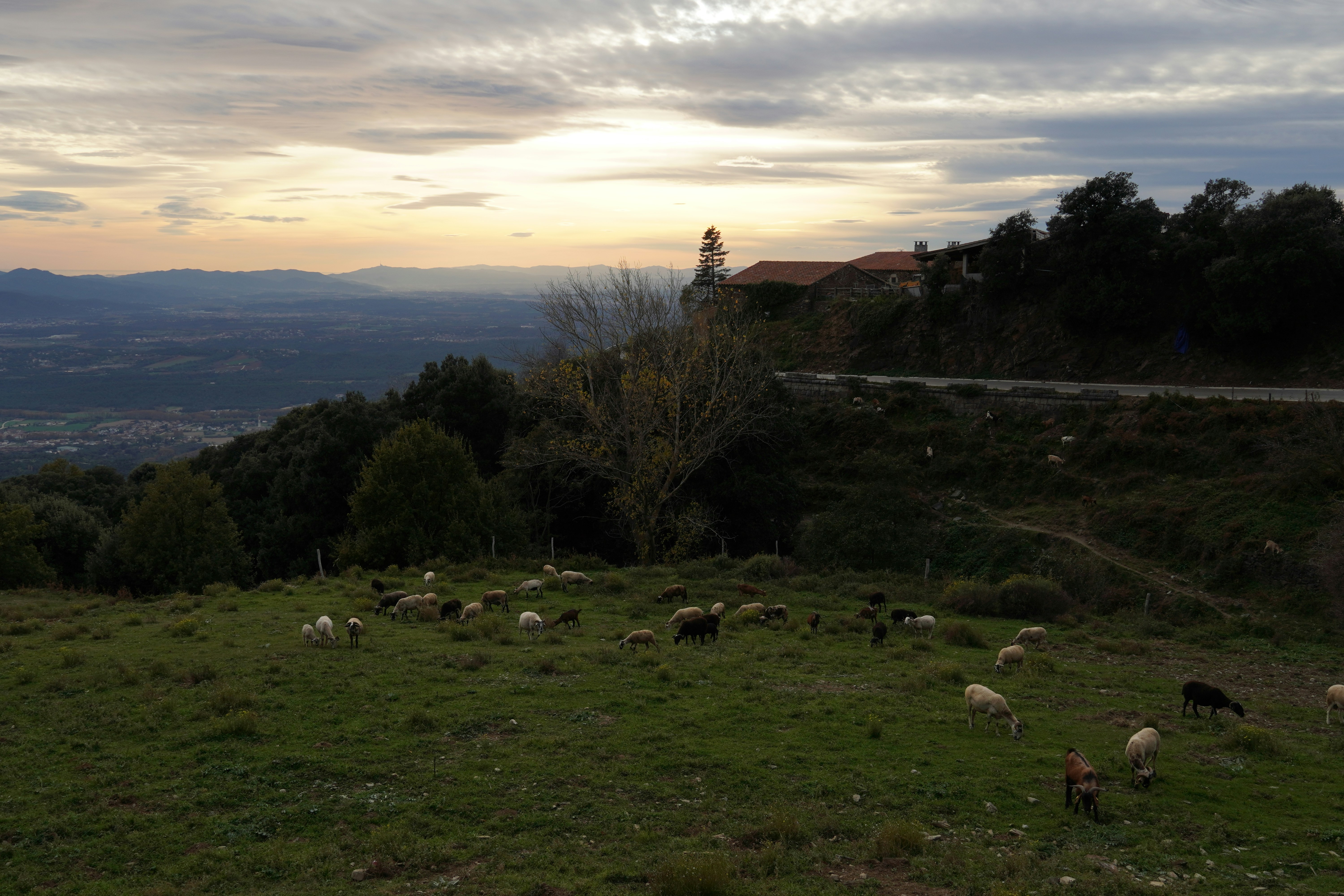 Photo by Ilia with Sony Alpha 6400