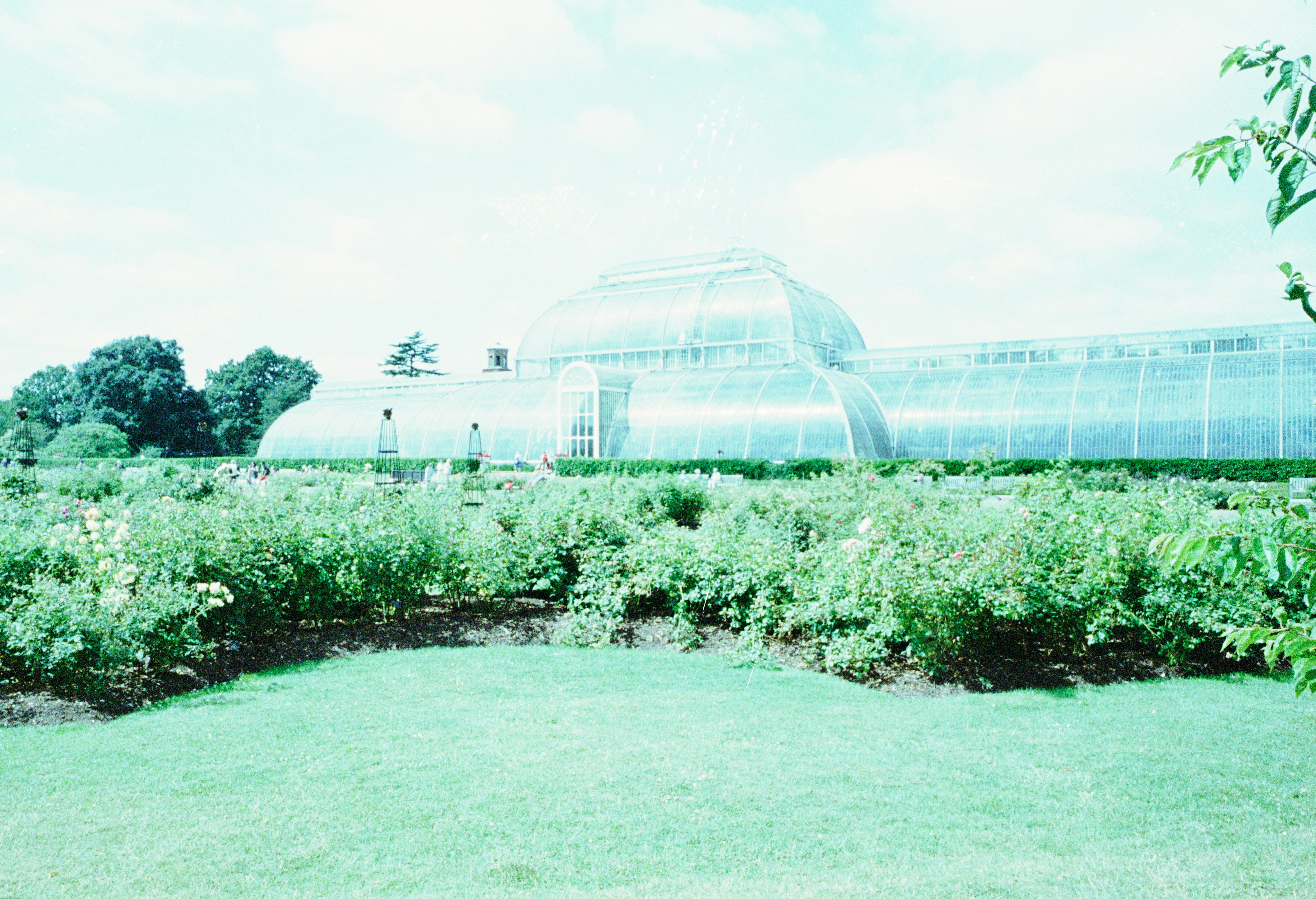 Glasshouse in a Quiet Green