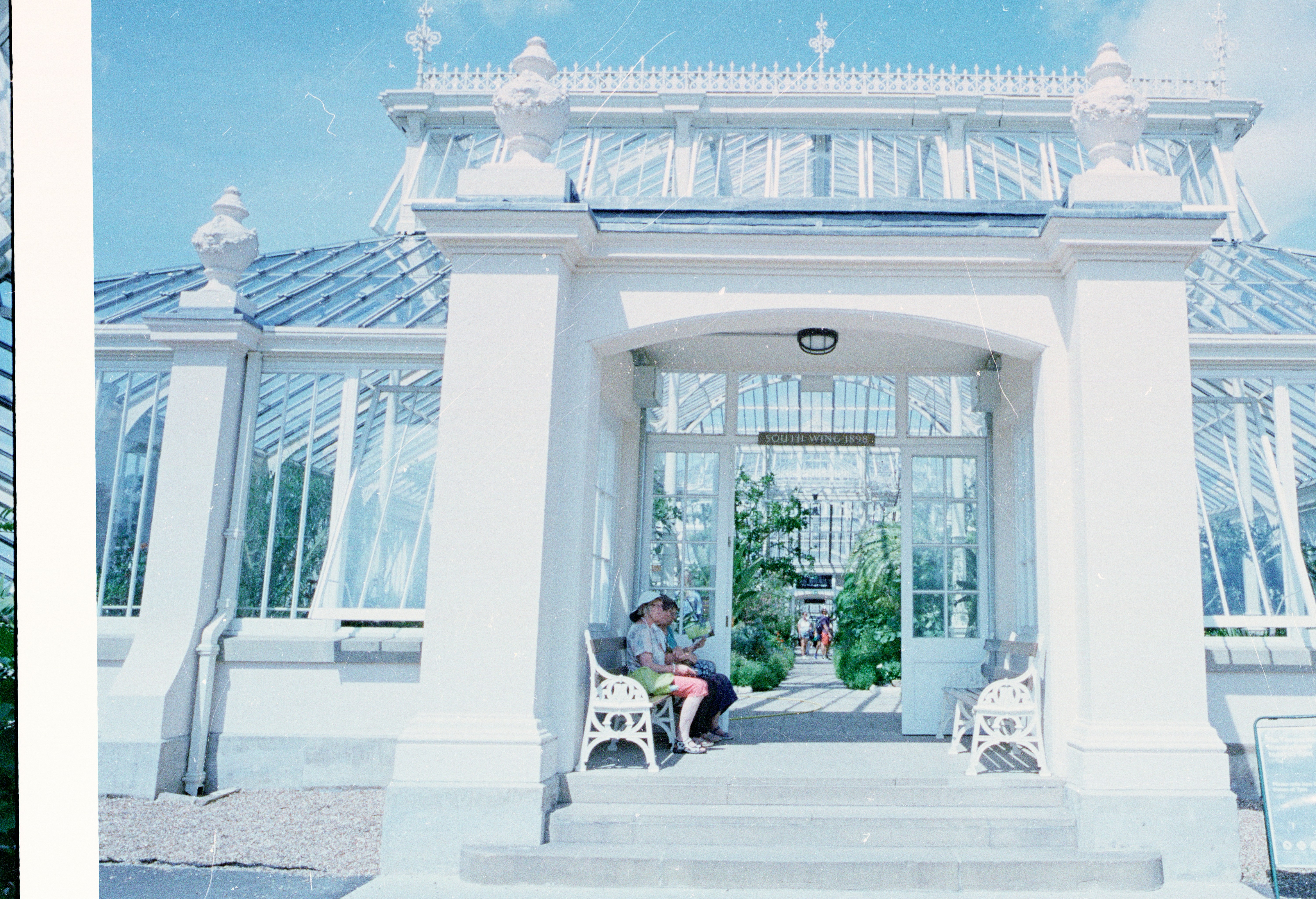 Glasshouse Moment: A Quiet Figure at the Conservatory Entrance