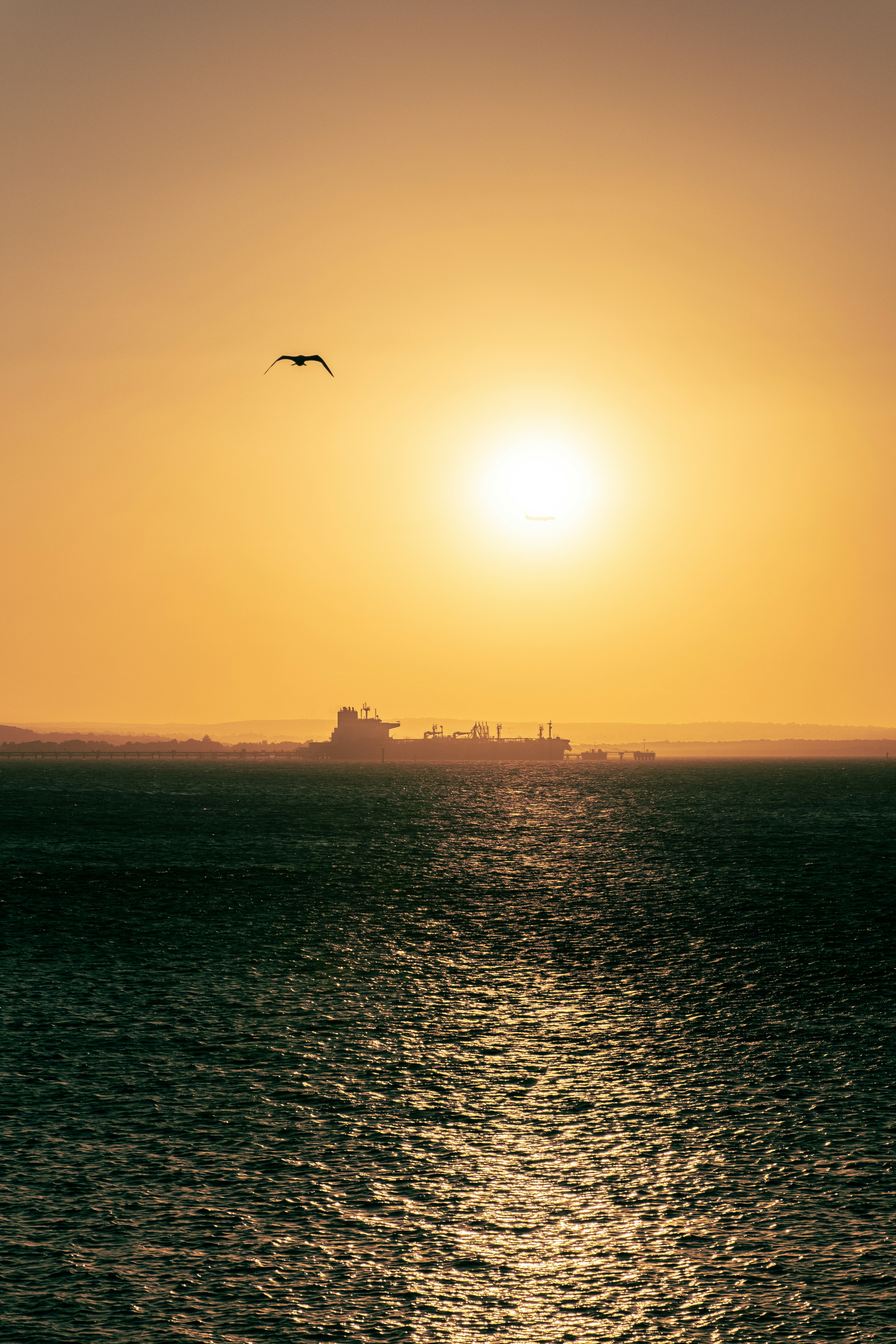 Glimmer on the Horizon: Gull and Ship in a Sunset Seascape