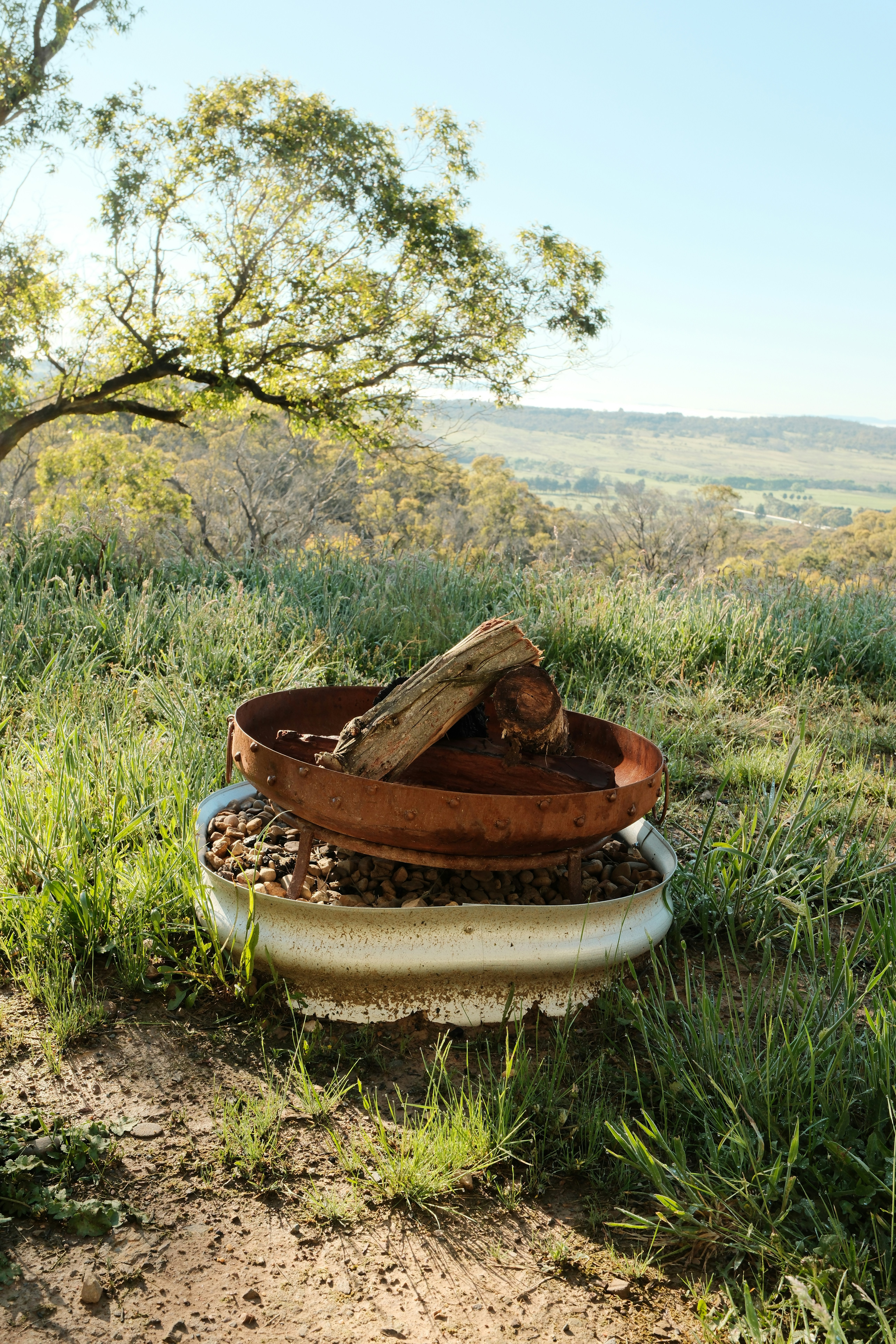 Rusted Ring of Logs in a Sunlit Meadow