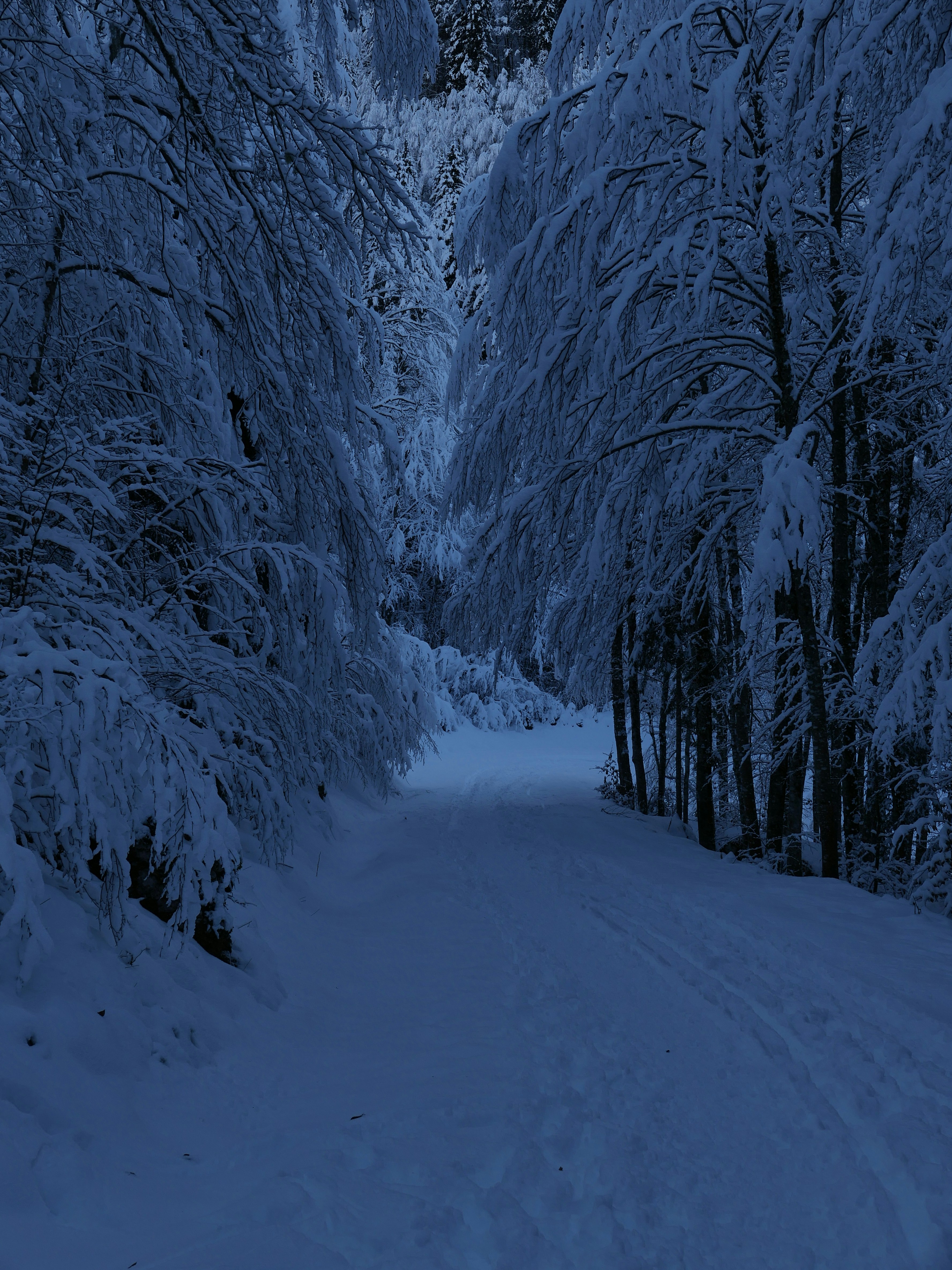 Walking throw the cold