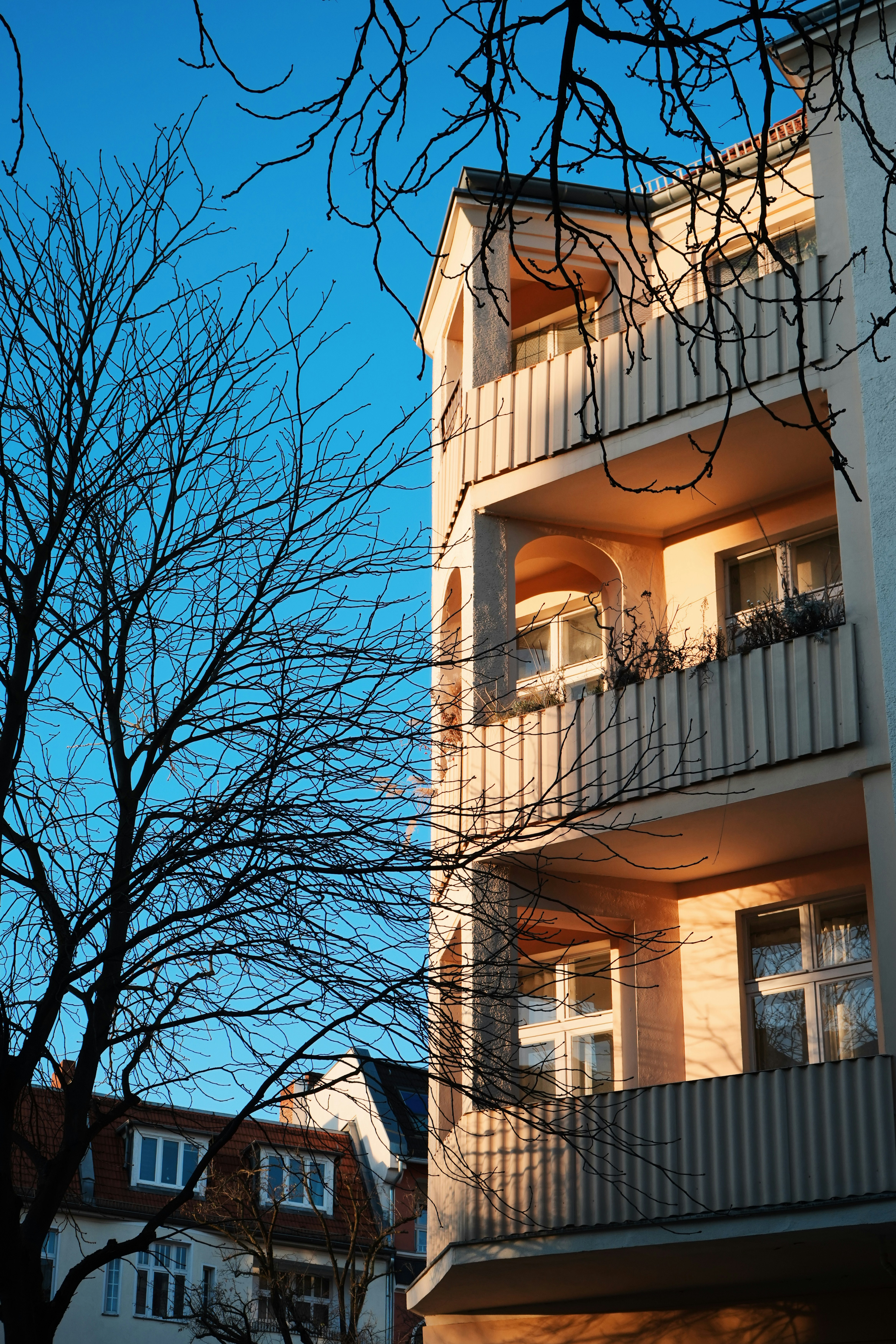 Photo by Victoria Prymak with Sony Alpha 7 IV