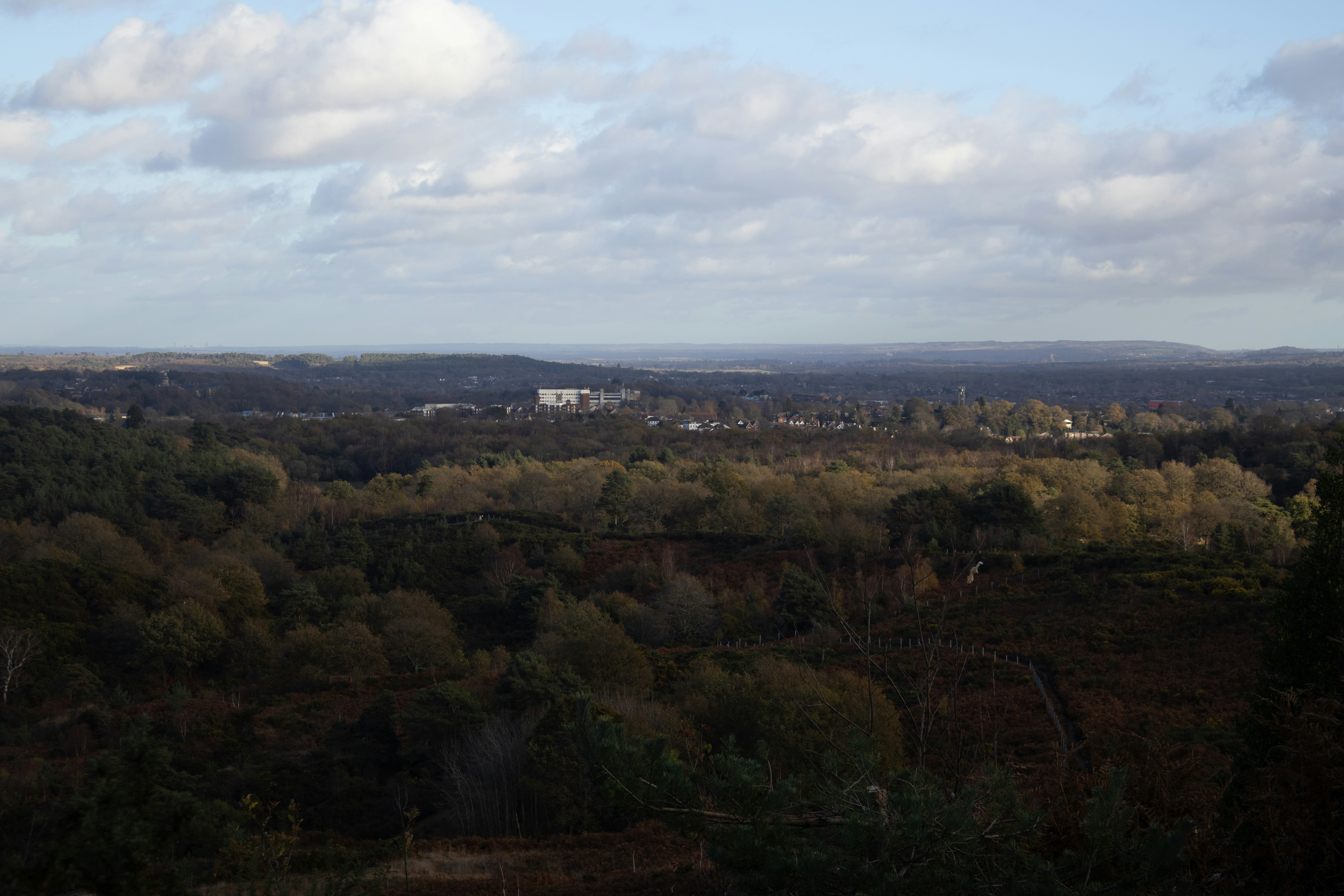 Photo by Tanya Barrow with Canon EOS R50