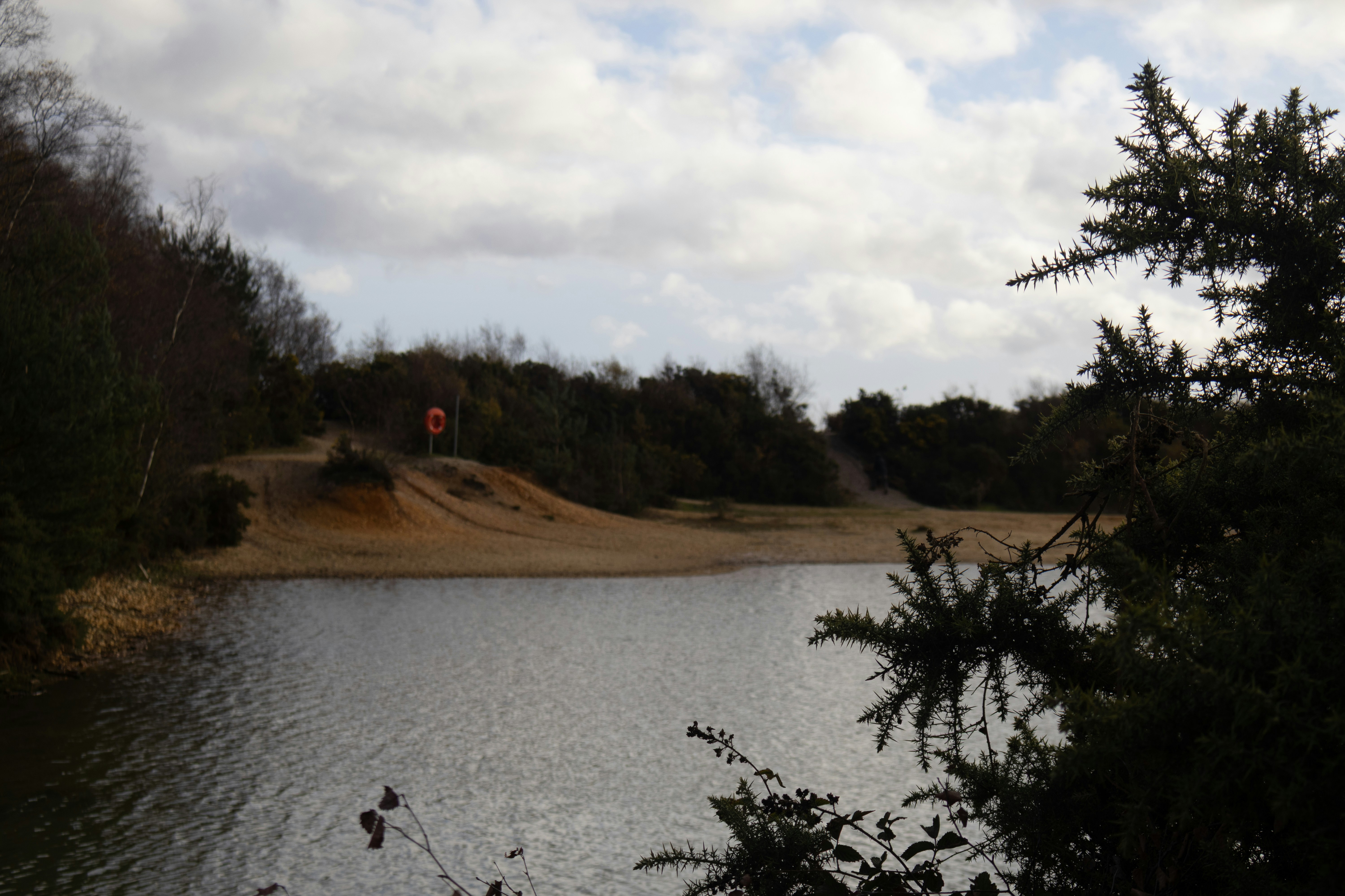 Photo by Tanya Barrow with Canon EOS R50