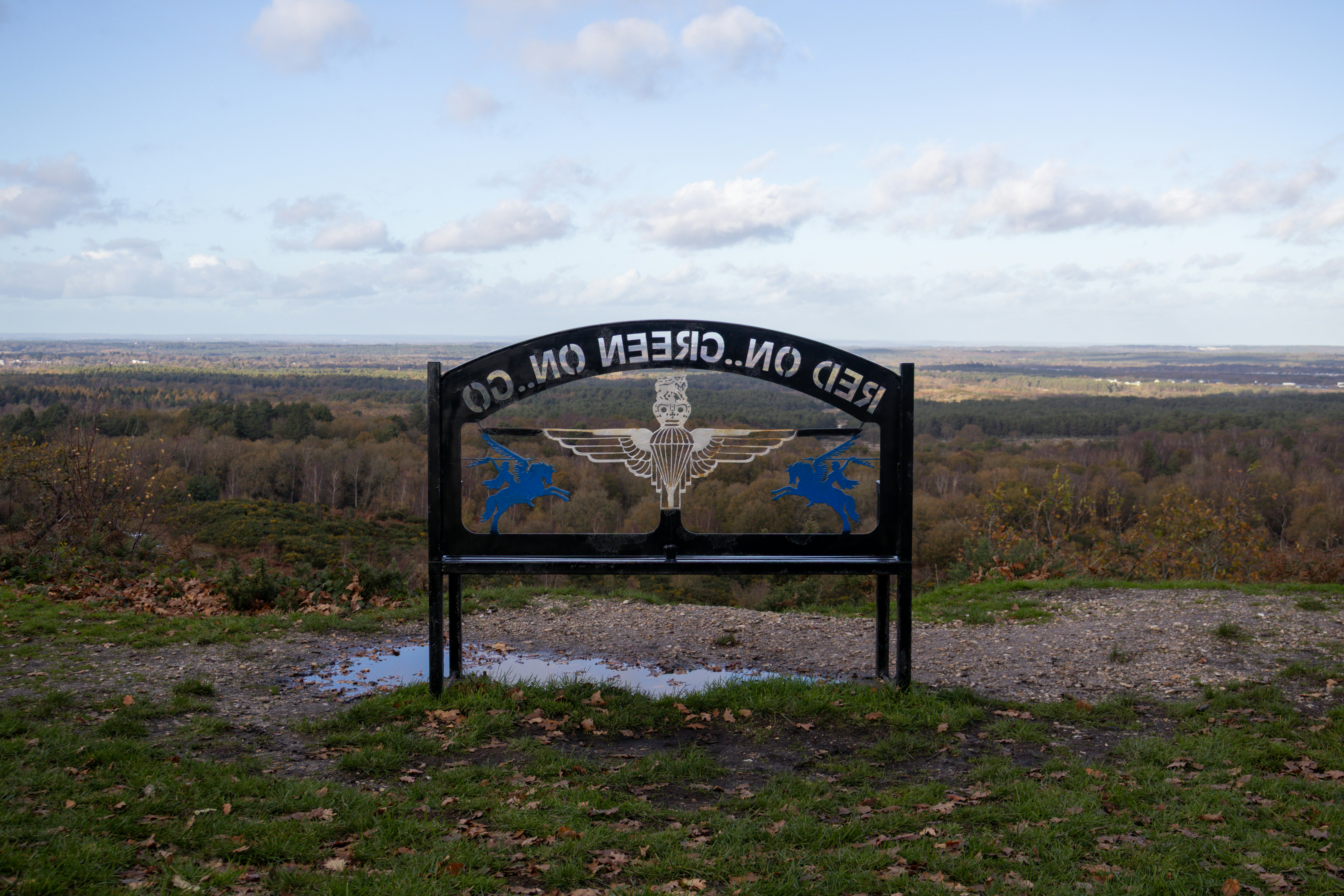 Photo by Tanya Barrow with Canon EOS R50