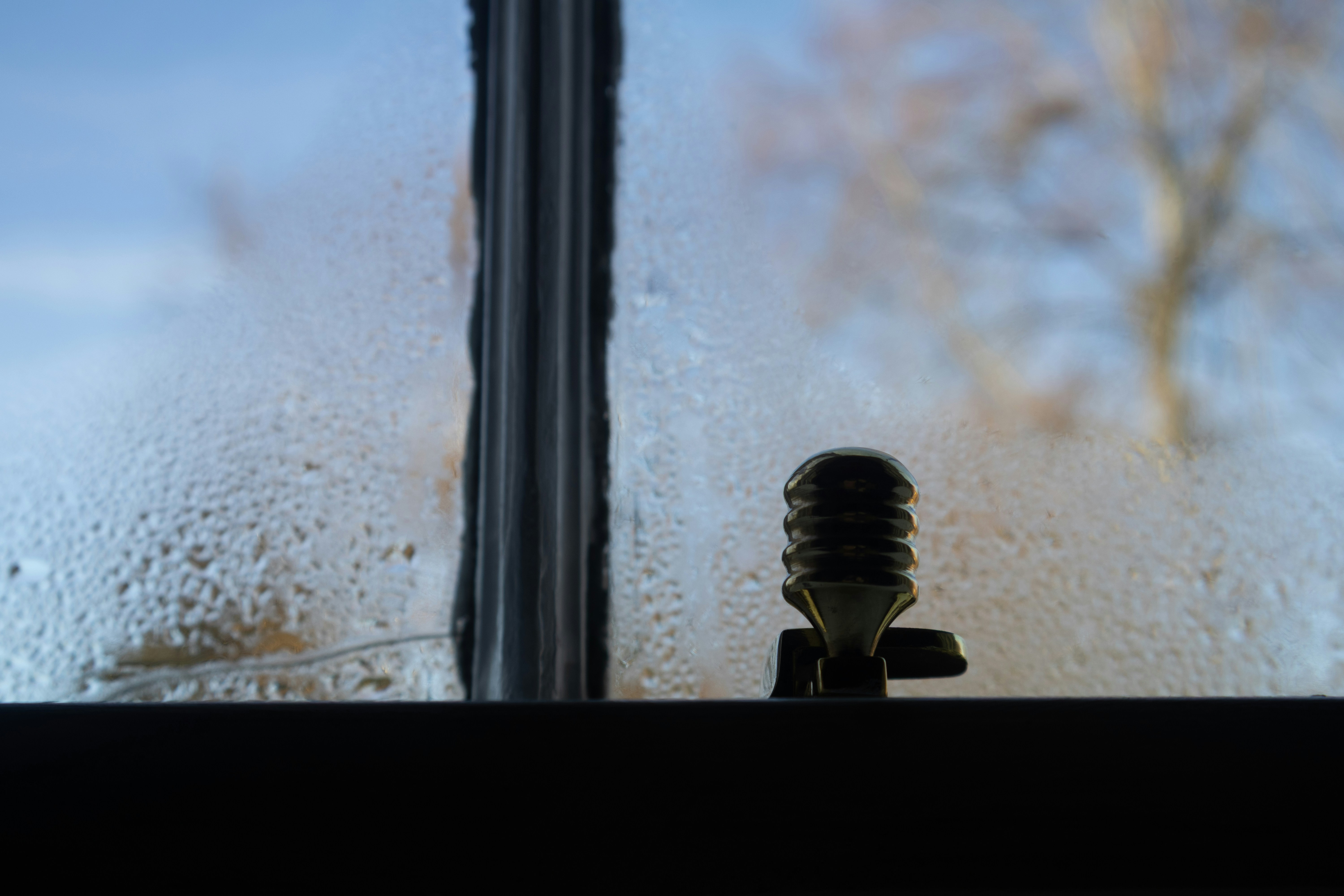 Photo by Tanya Barrow with Canon EOS R50