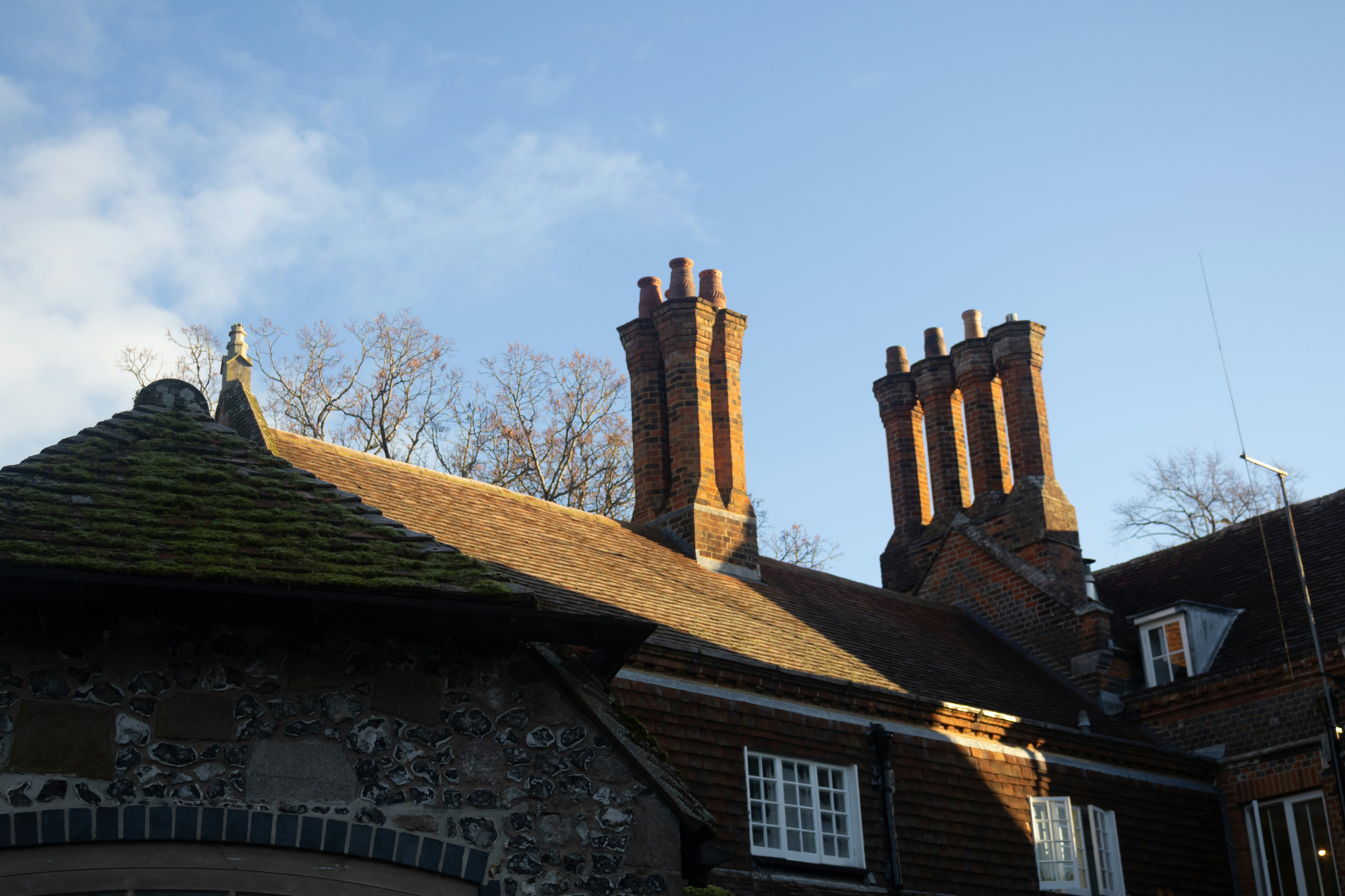 Photo by Tanya Barrow with Canon EOS R50